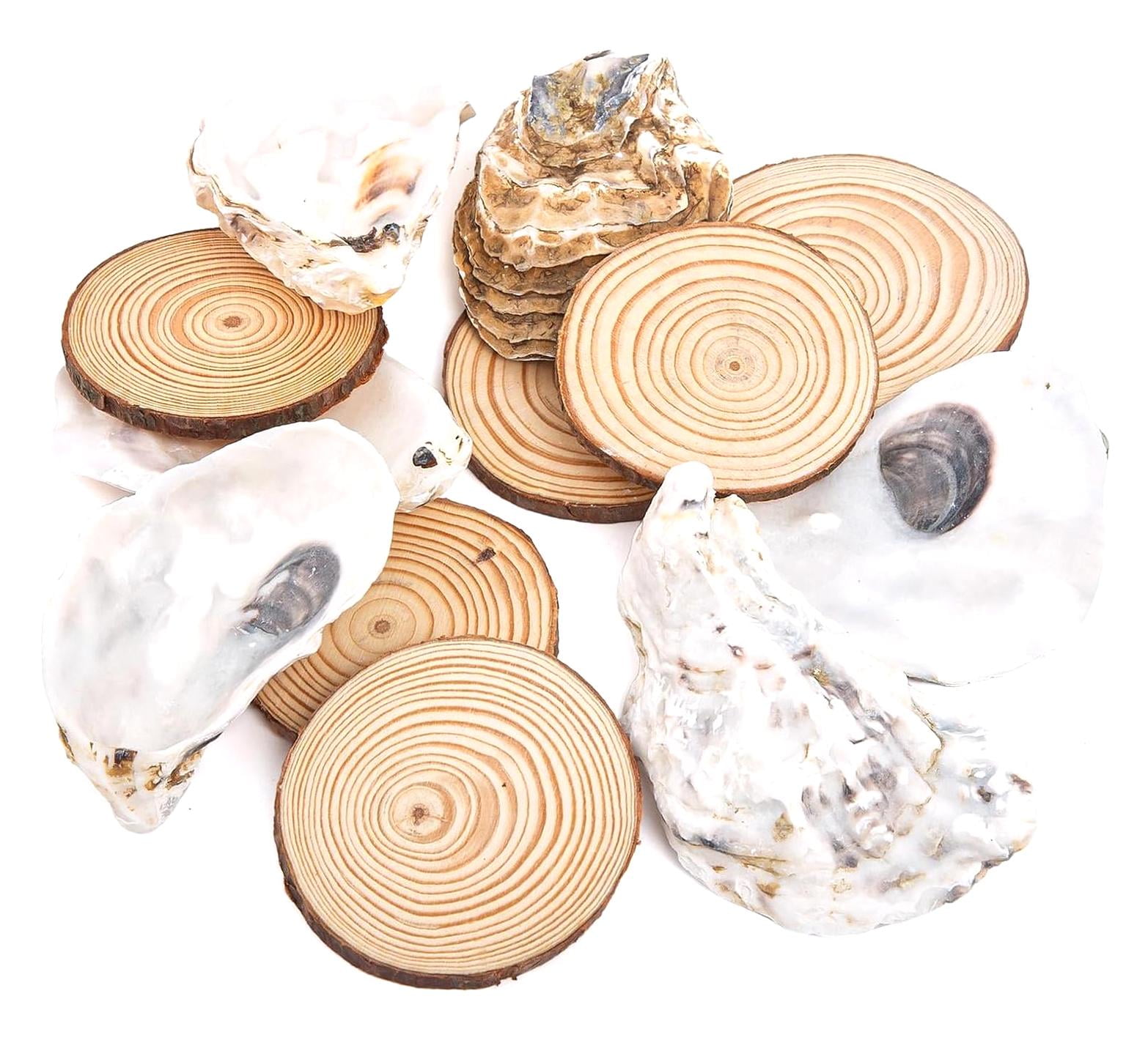 FREEAMG Large Starfish and Scallop Shells for Crafts, 12PCS, 3-4 Inches ...