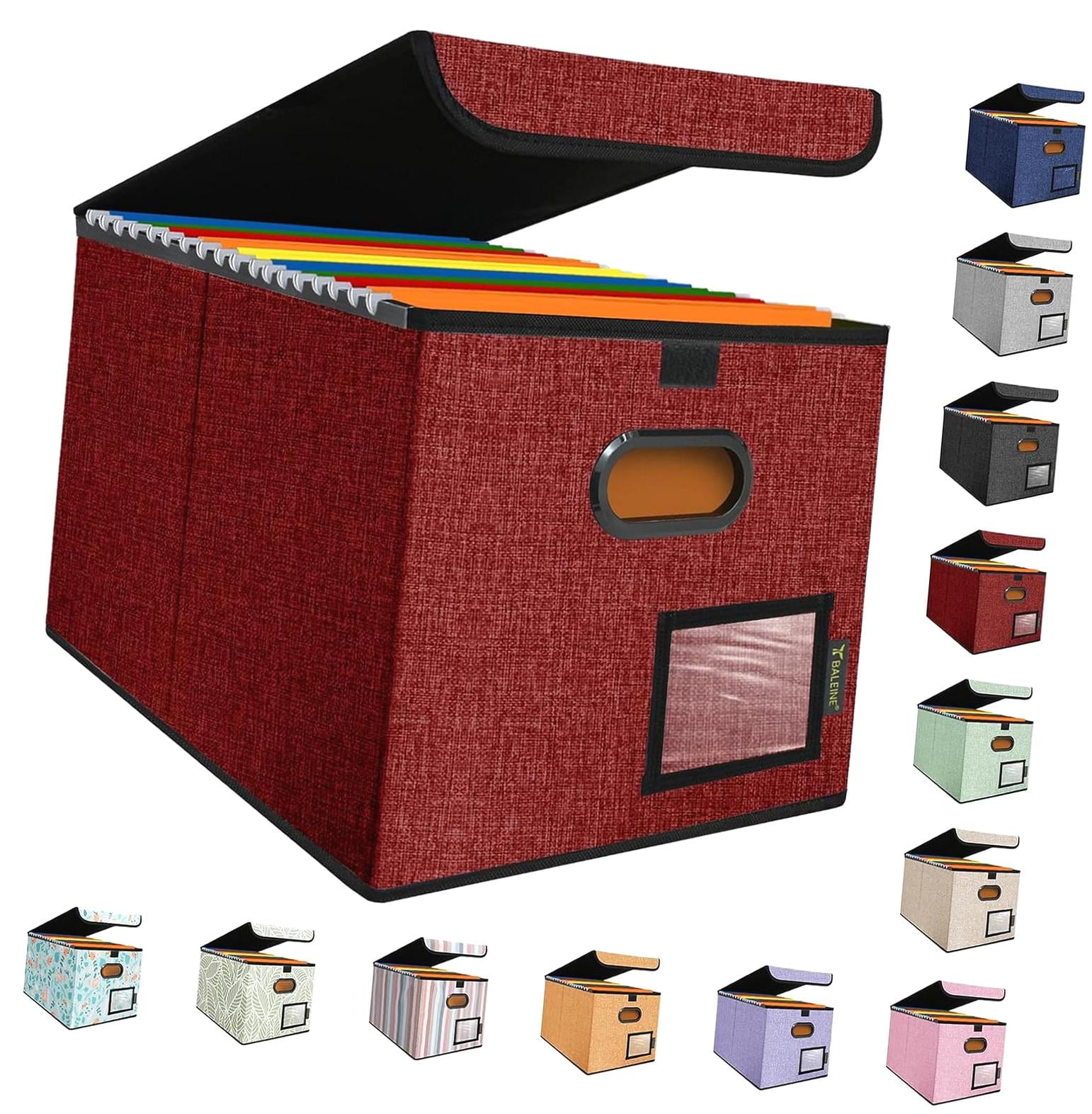 FREEAMG Lid-Equipped File Organizer Box, Foldable Document Holder ...
