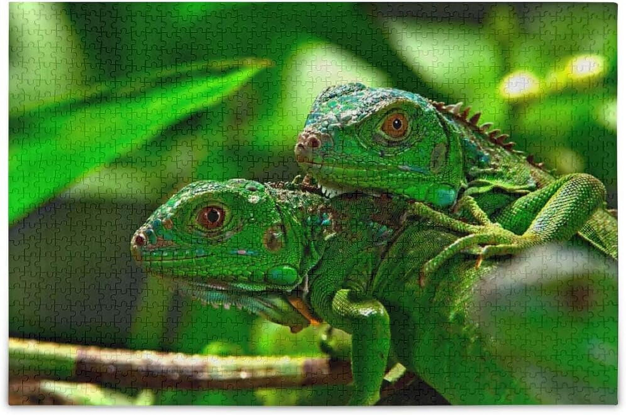FREEAMG Lizard Animal Chameleon Green Iguana On Tree Branch in Tropical ...