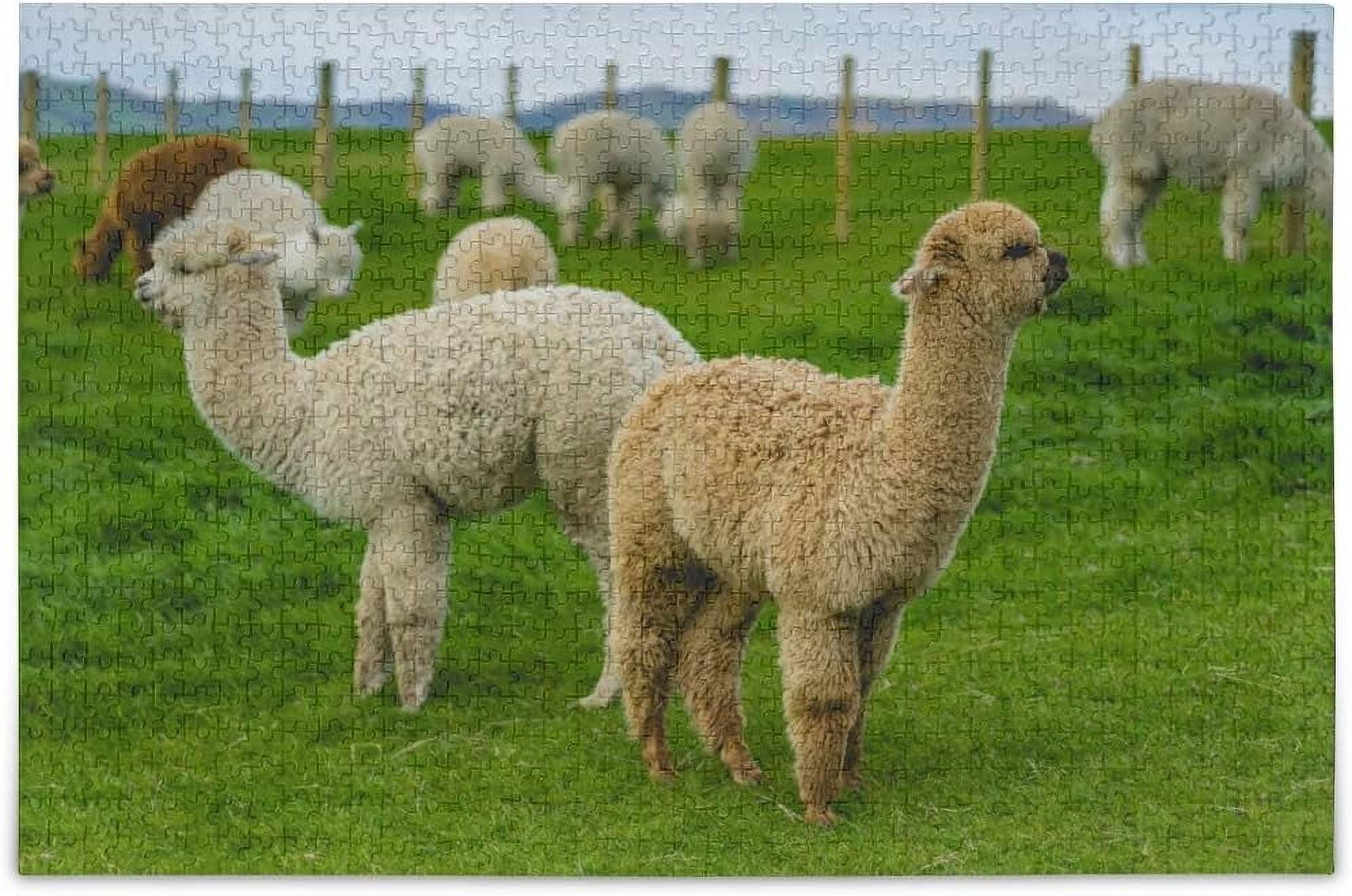 FREEAMG Llama Alpaca Animal in Farm Jigsaw Puzzles for Adults 1000 Pieces Puzzle Buffalo Games ...
