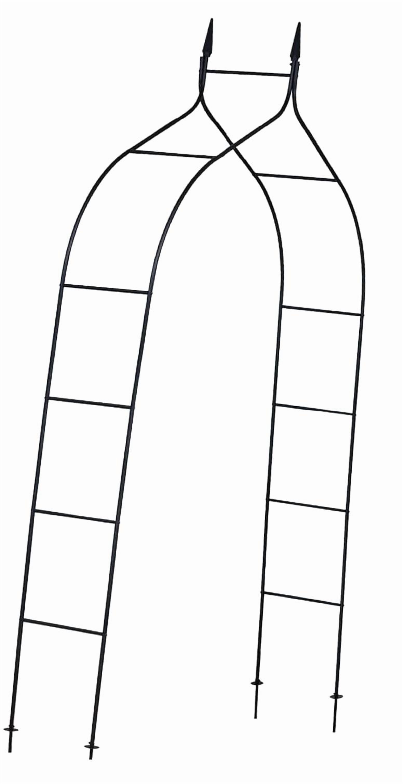 FREEAMG Machrus Wedding Garden Arch; Ornamental Garden Arbor Entrance ...