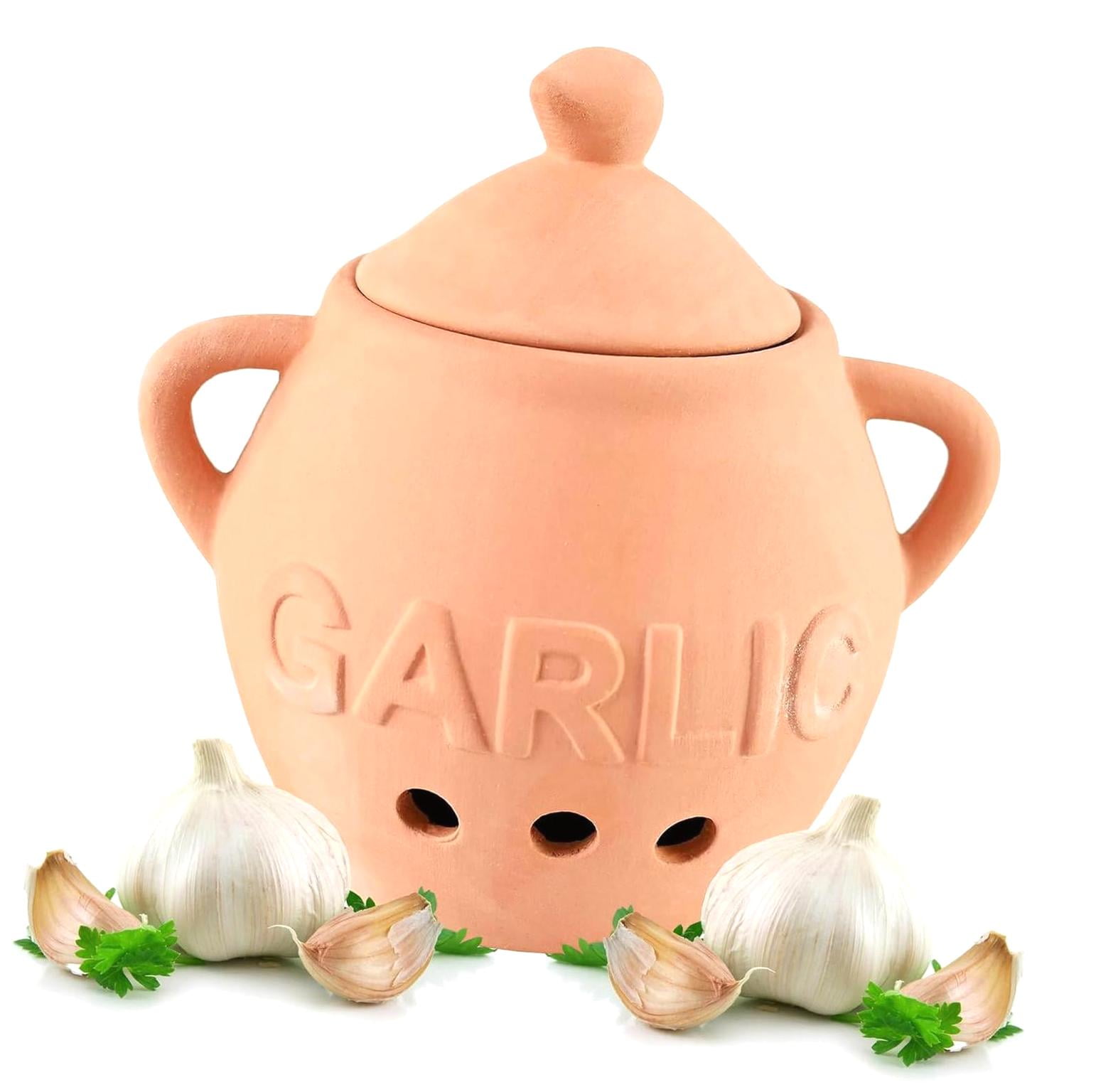 FREEAMG Natural Terracotta Garlic Storage Pot, Kitchen Decorative Piece ...
