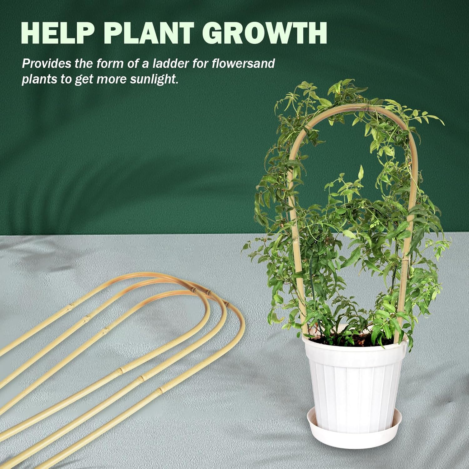FREEAMG Natural U- Plants Trellis 4Ft, Garden Trellis U-Shape for ...