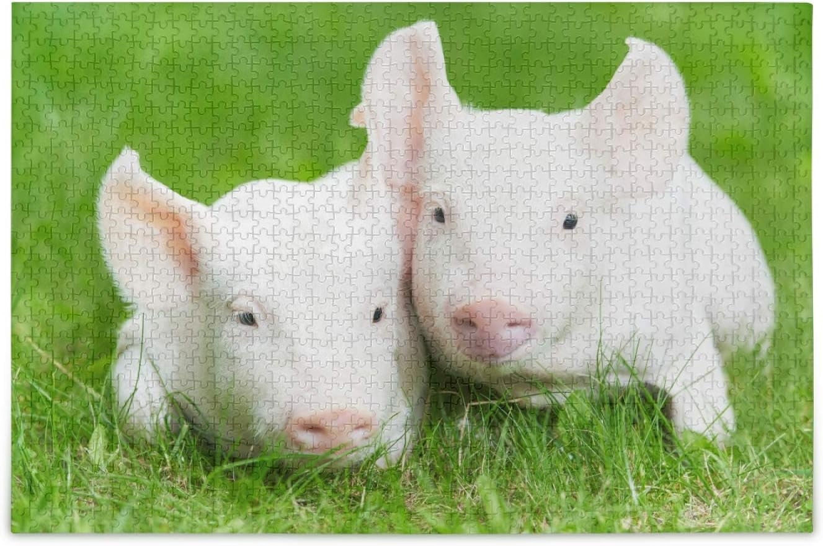 FREEAMG Piglet On Grass Puzzle for Adults 1000 Piece Puzzles Game DIY ...