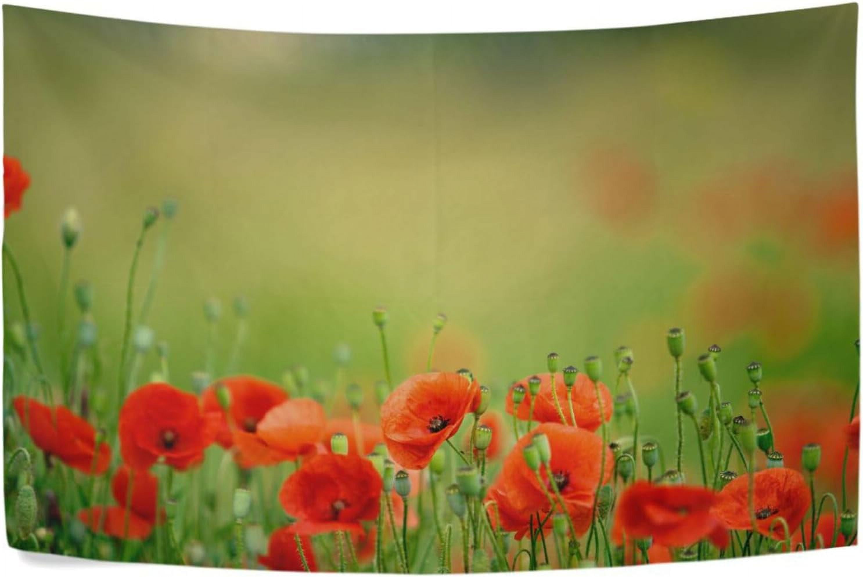 FREEAMG Poppy Flower Tapestry Aesthetic Tapestry Wall Hanging for Home ...