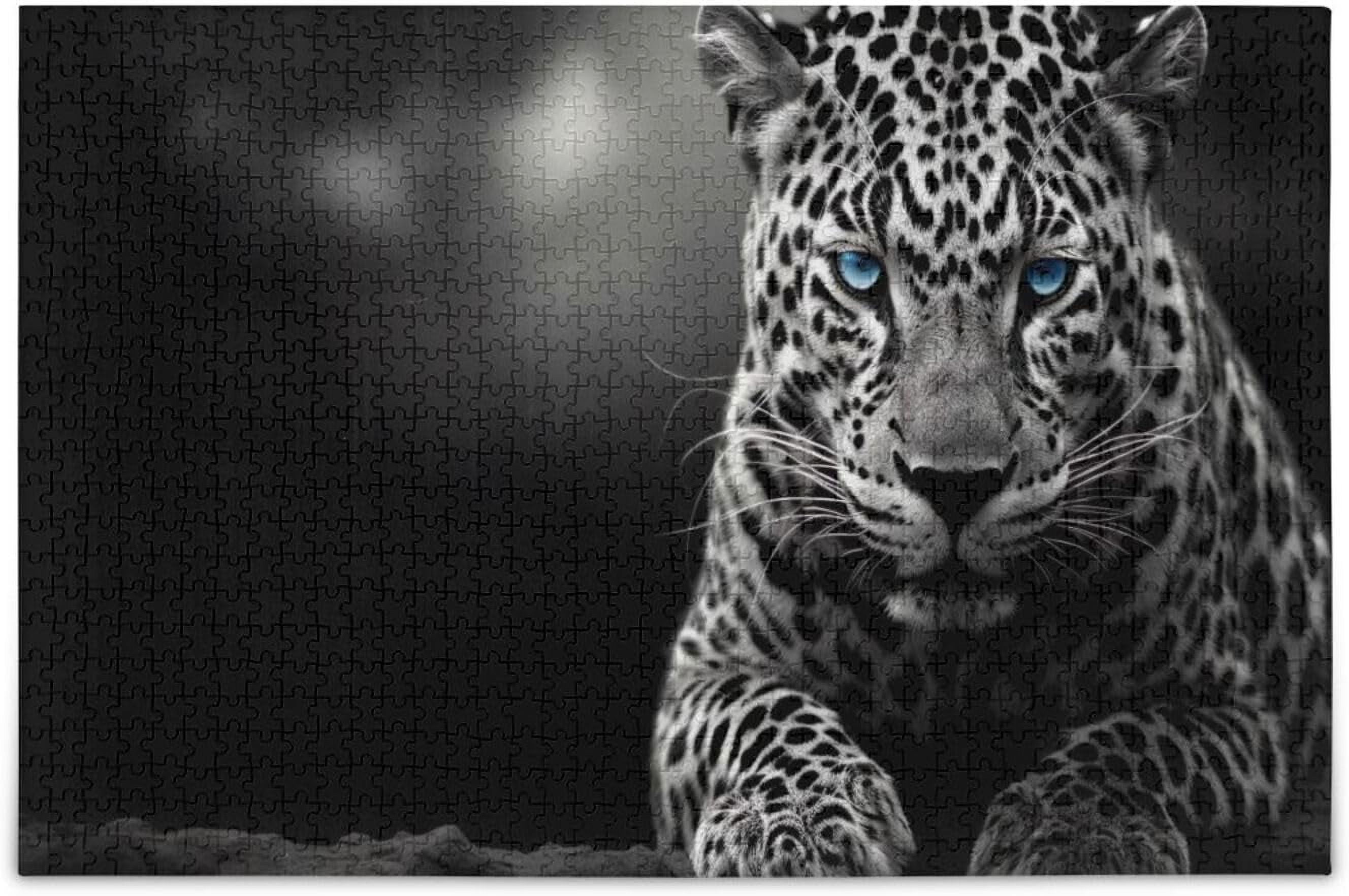 Blue-Eyed Cheetah 500 Piece Large Jigsaw Puzzle for Adults - Game ...