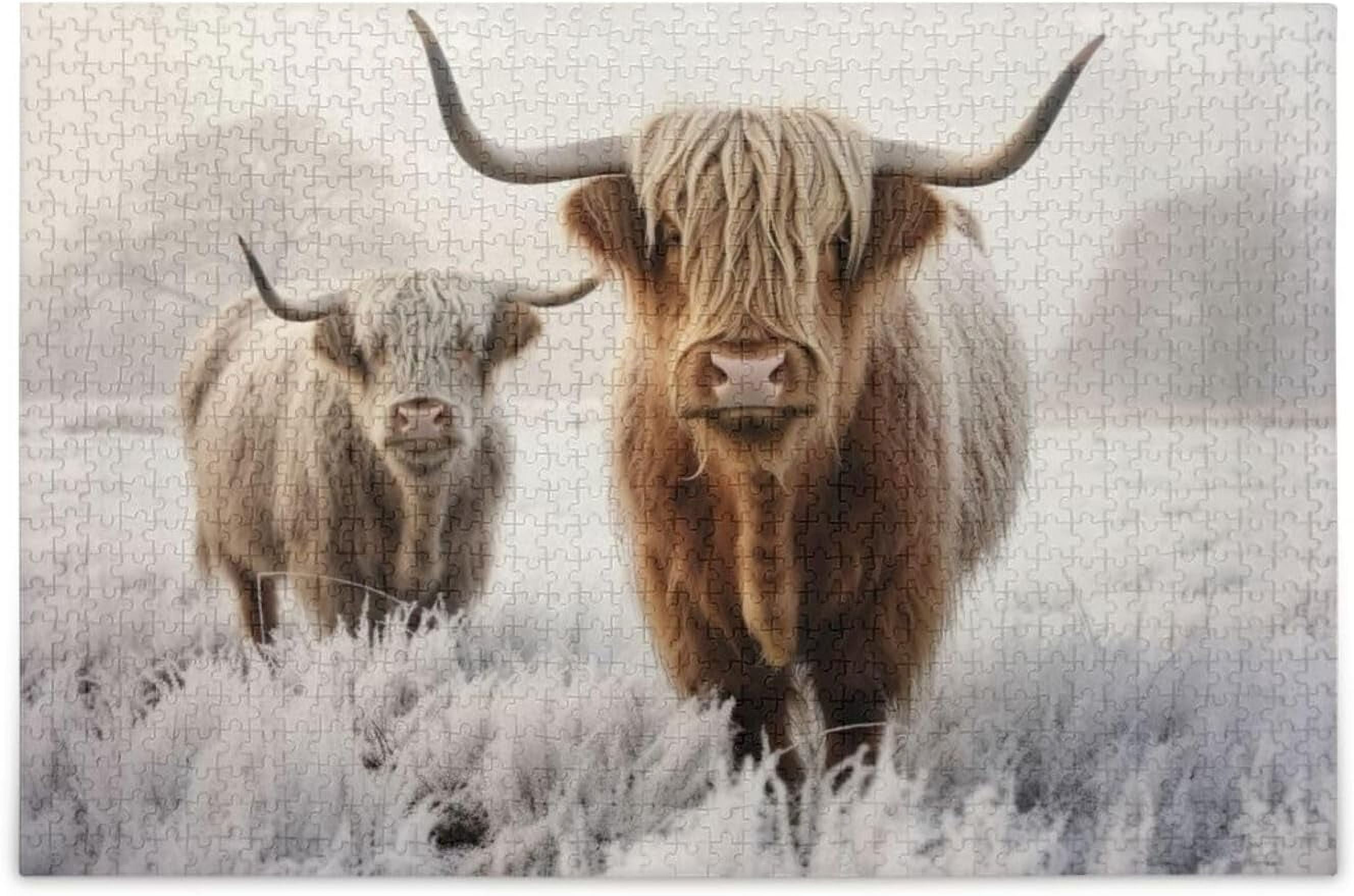 FREEAMG Puzzle- Cool Highland Cow Jigsaw Puzzles,1000 Piece Puzzles for ...