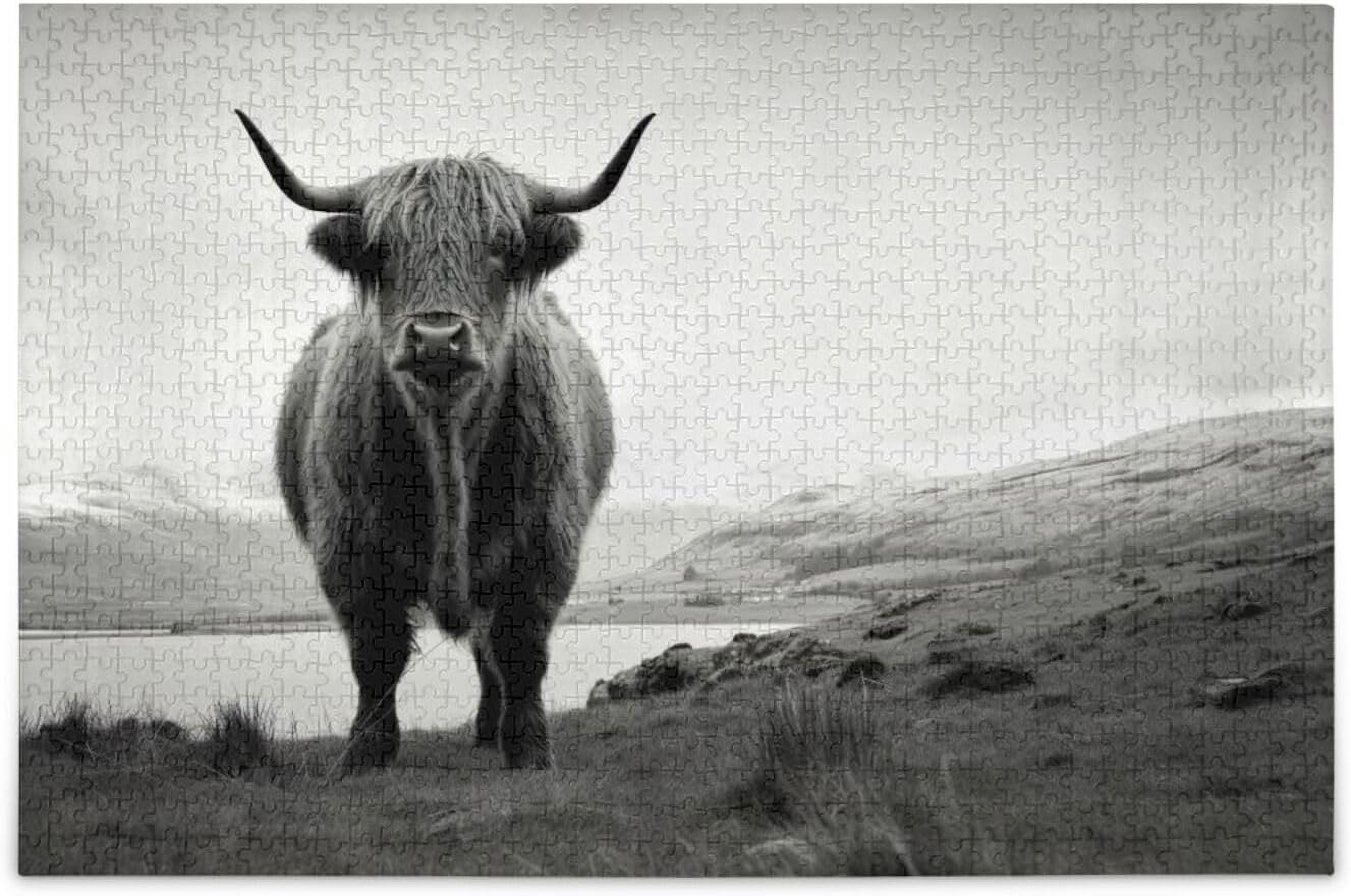 FREEAMG Puzzle- Highland Cow Jigsaw Puzzles, 500 Piece Puzzles for ...
