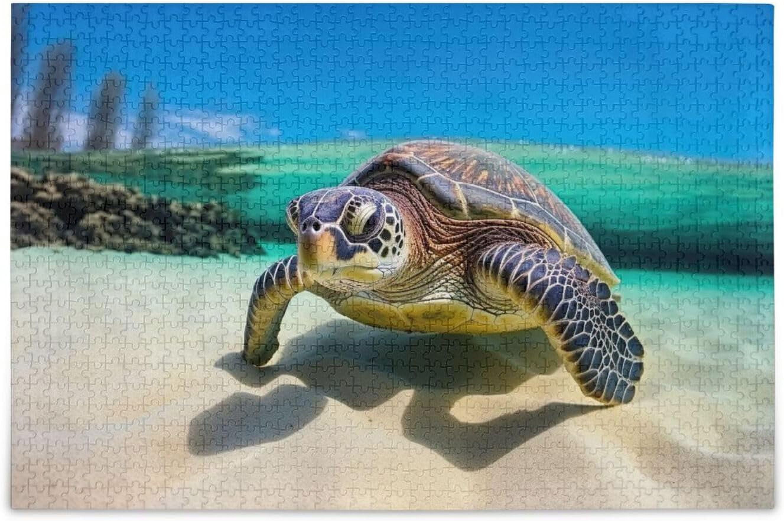 FREEAMG Sea Turtle 1000 Piece Puzzle for Adults, Family Game ...