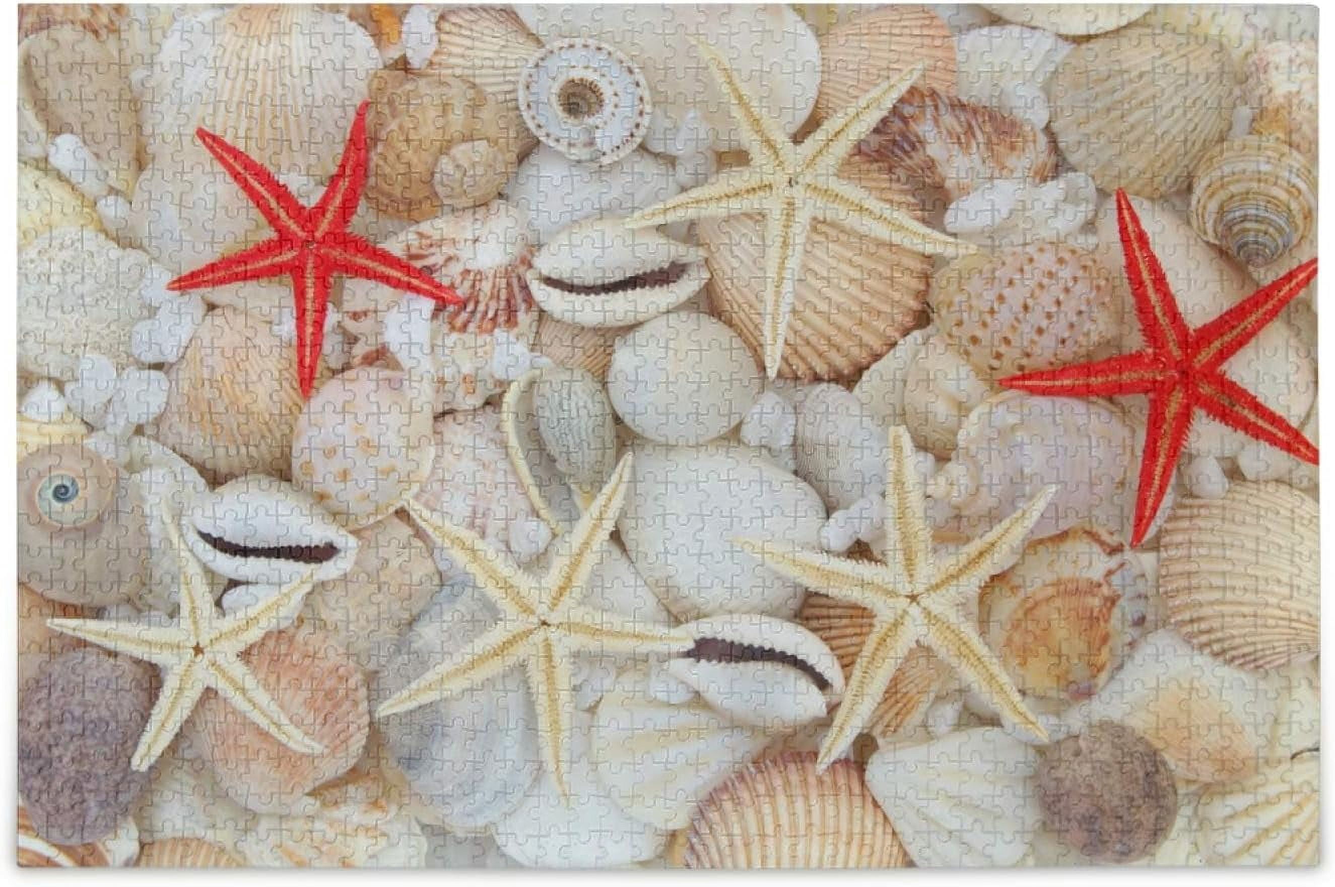 FREEAMG Starfish Seashell Puzzle for Adults 500 Piece Puzzles Game DIY ...