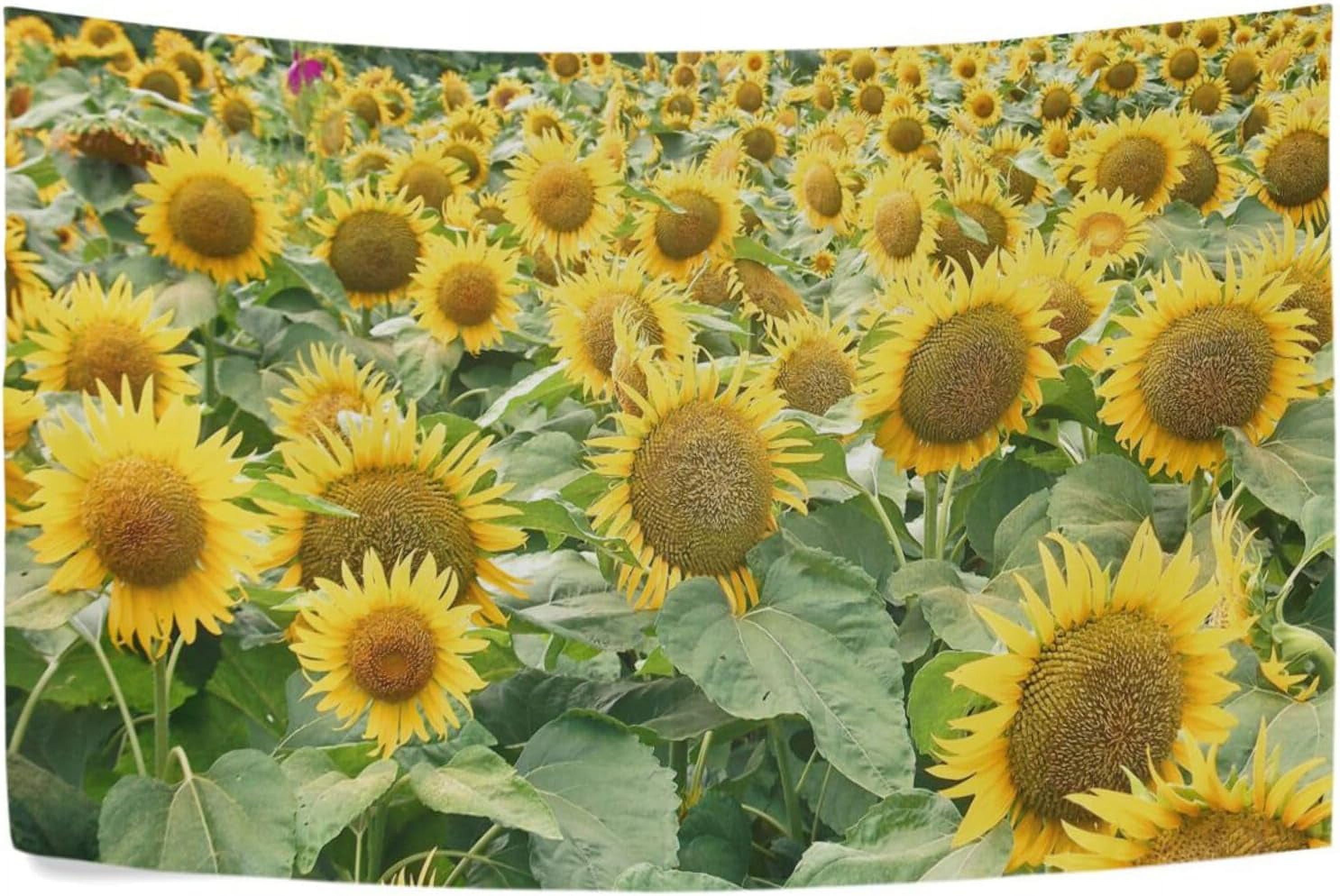 FREEAMG Sunflower Bush Tapestry Aesthetic Tapestry Wall Hanging for ...