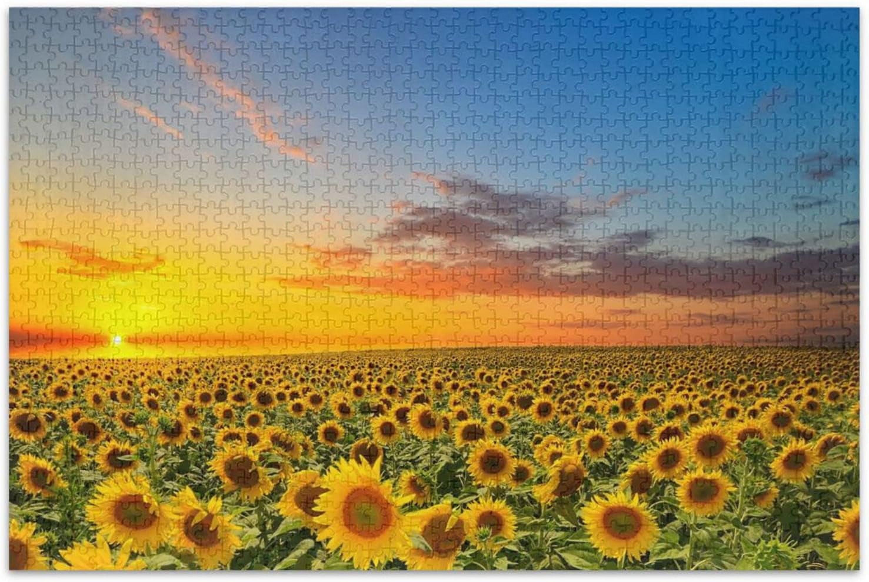 FREEAMG Sunflowers Blooming at Sunset 500 Pcs of Irregular Puzzle in a ...