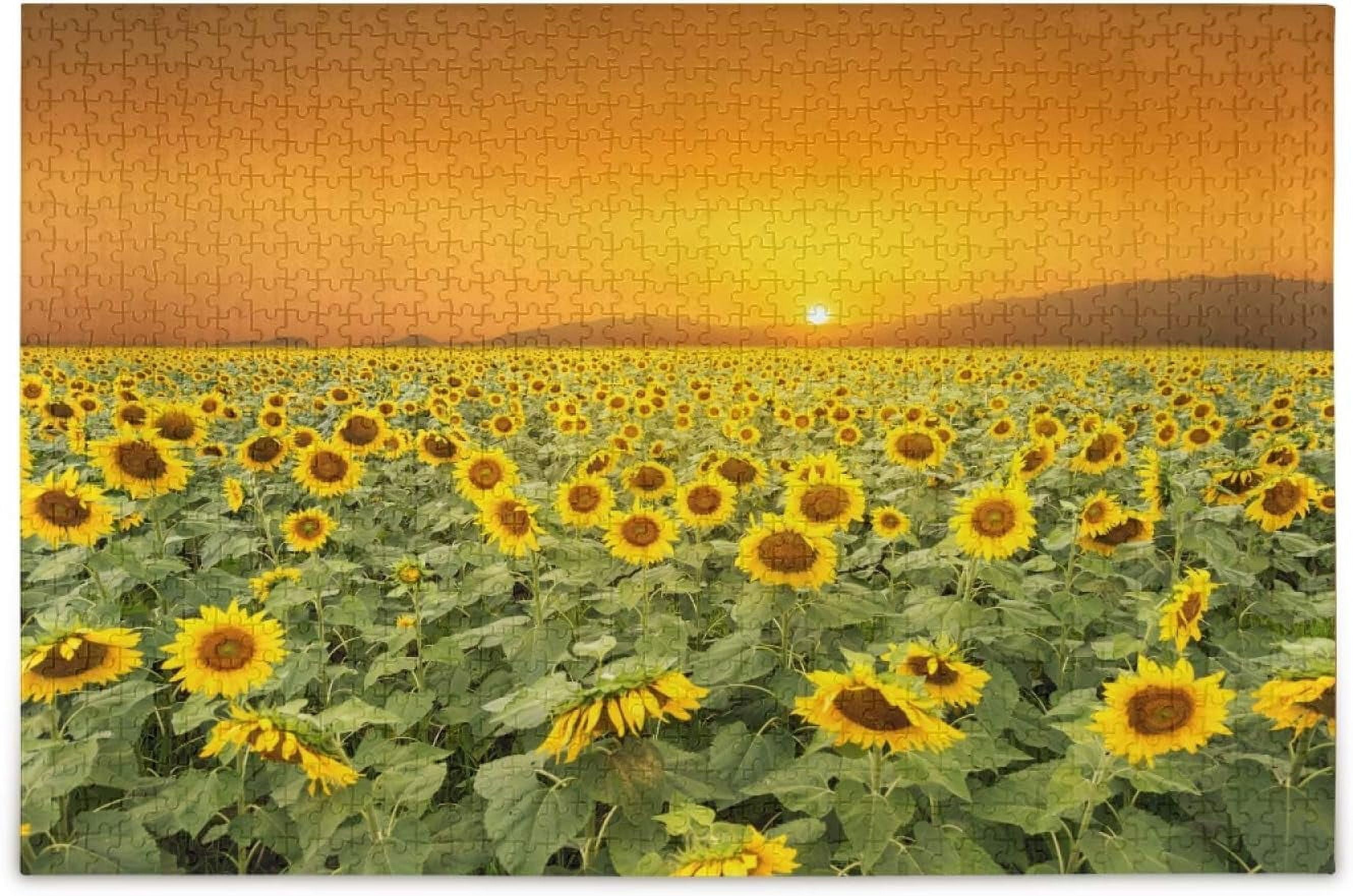 FREEAMG Sunflowers Field On Sunset Puzzle for Adults 500 Piece Puzzles ...