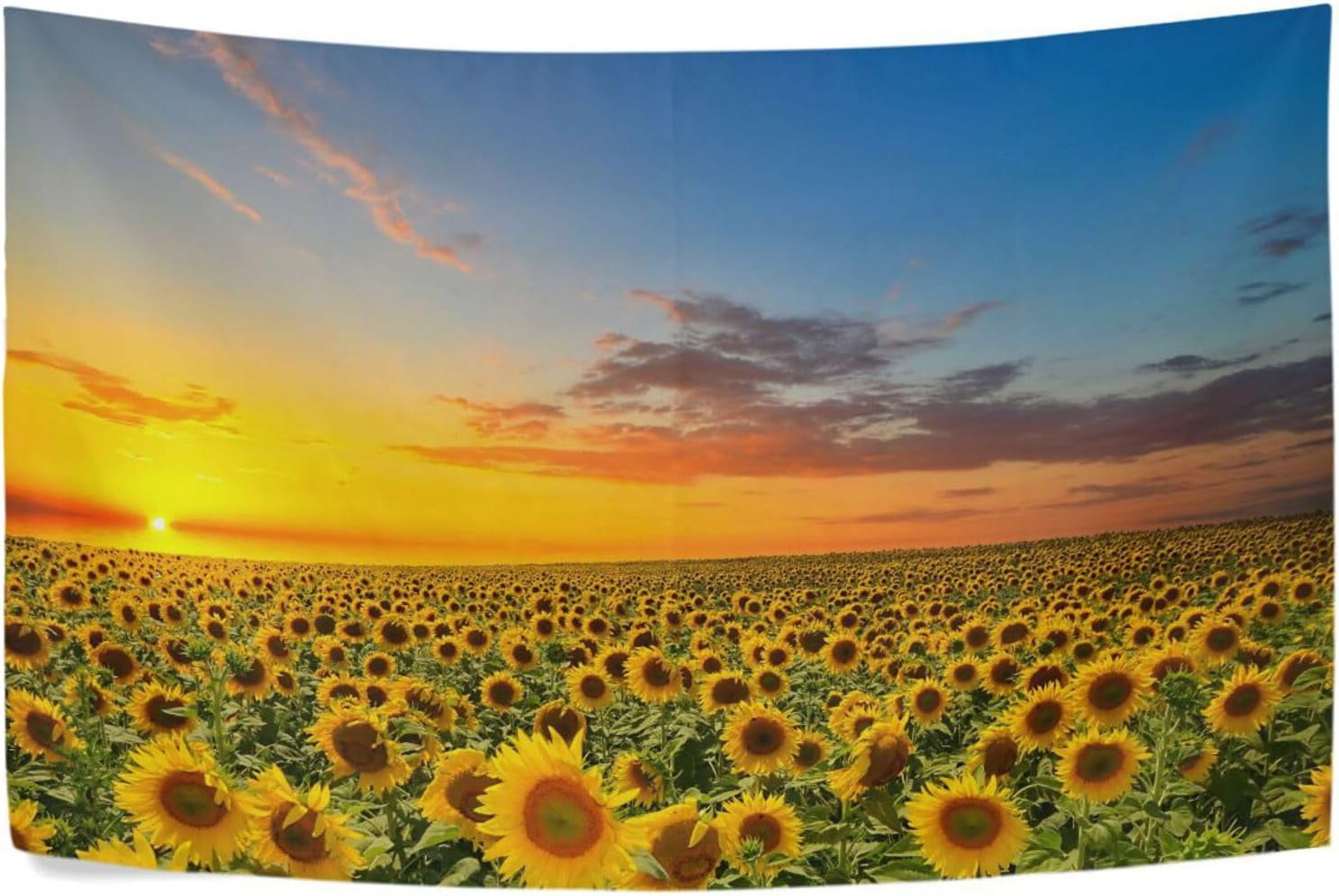 FREEAMG Sunflowers Waiting for The Sunrise Tapestry Aesthetic Tapestry ...