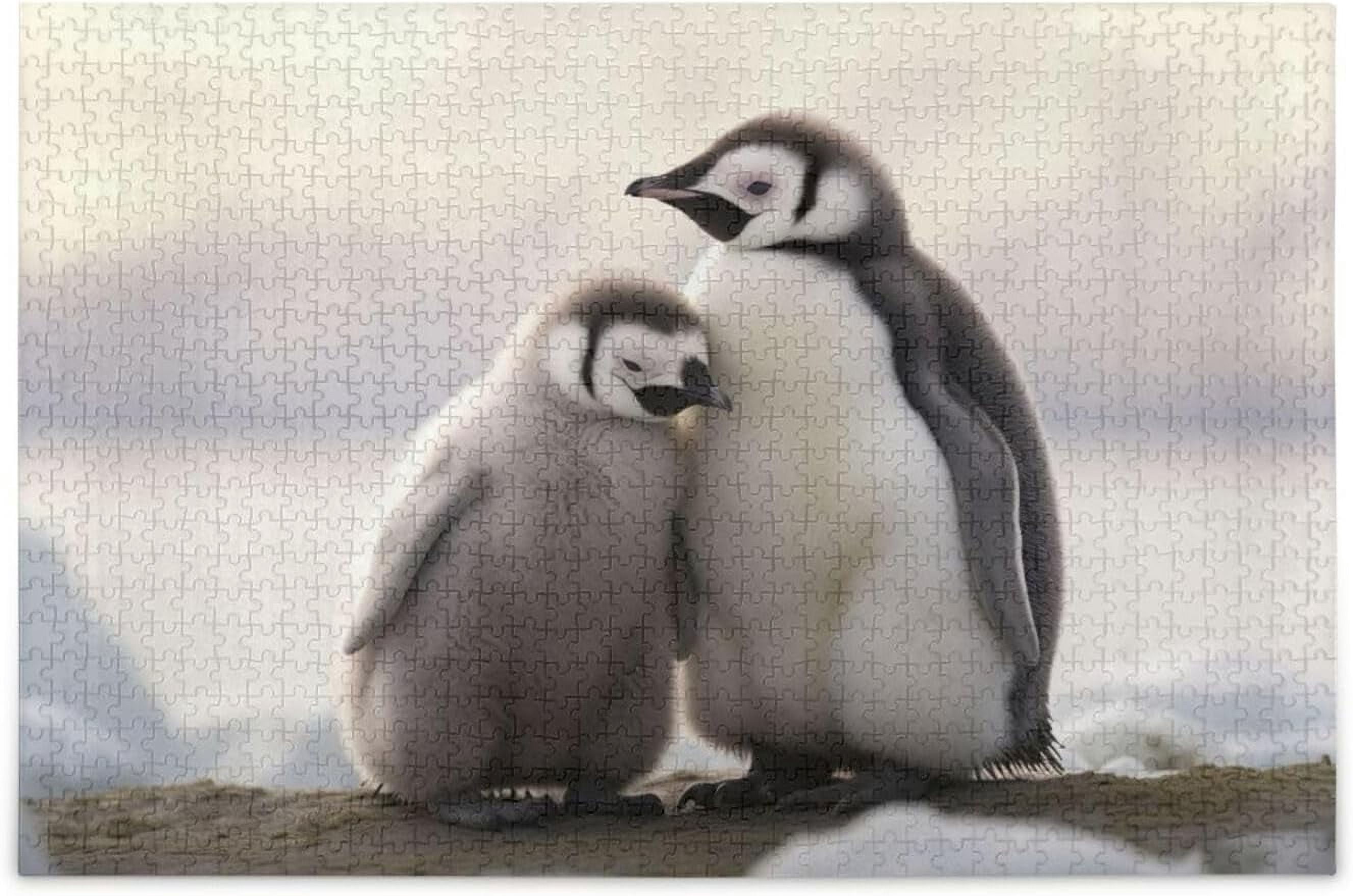 FREEAMG Two Penguins 1000 Piece Large Jigsaw Puzzle for Adults - Game ...