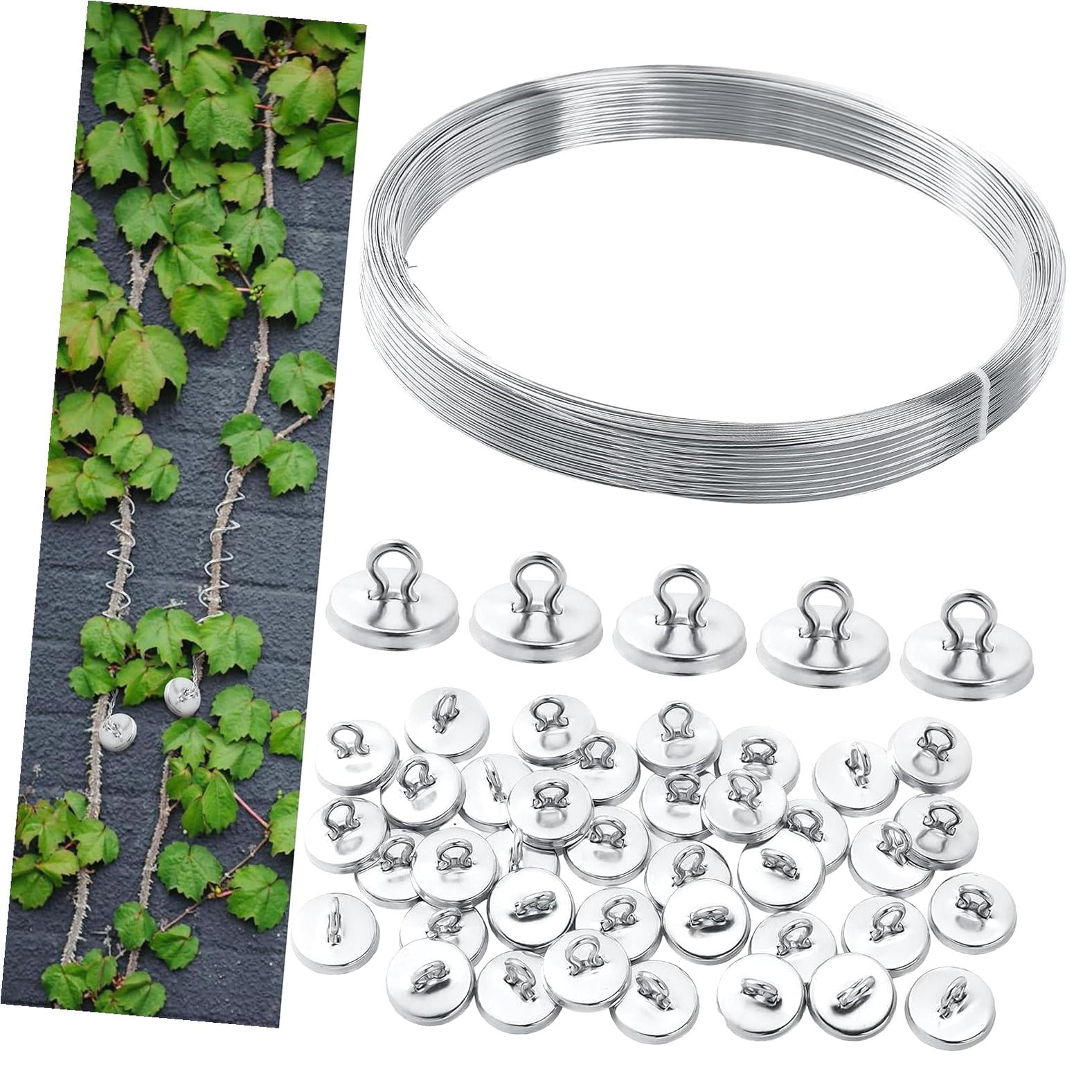 FREEAMG Wire Trellis for Climbing Plants Plant Training Wire Wall ...