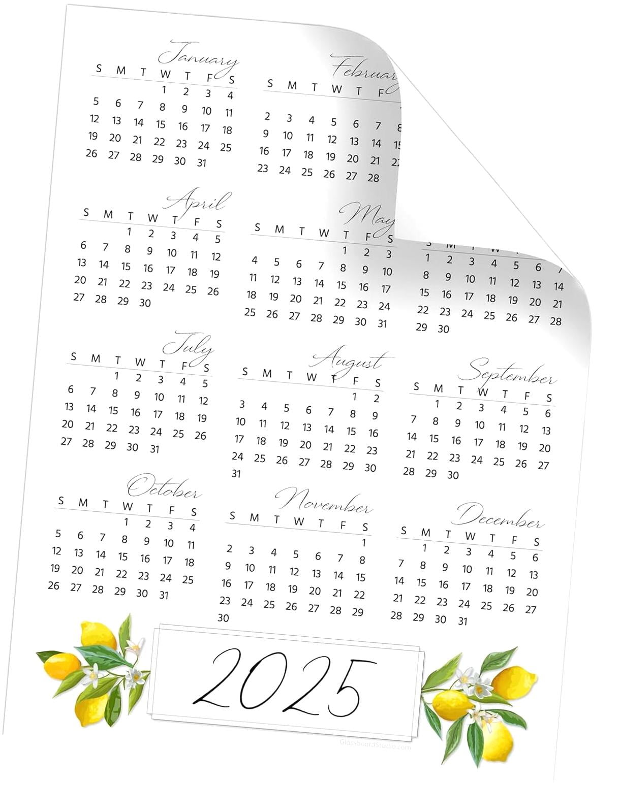 FREEAMG Yearly Calendar Sticker Decal | Detachable and (Lemon Fresh ...
