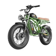 Trailmaster JHL Pro Series TM MX250 Dirt Bike Electric Start, Extended ...