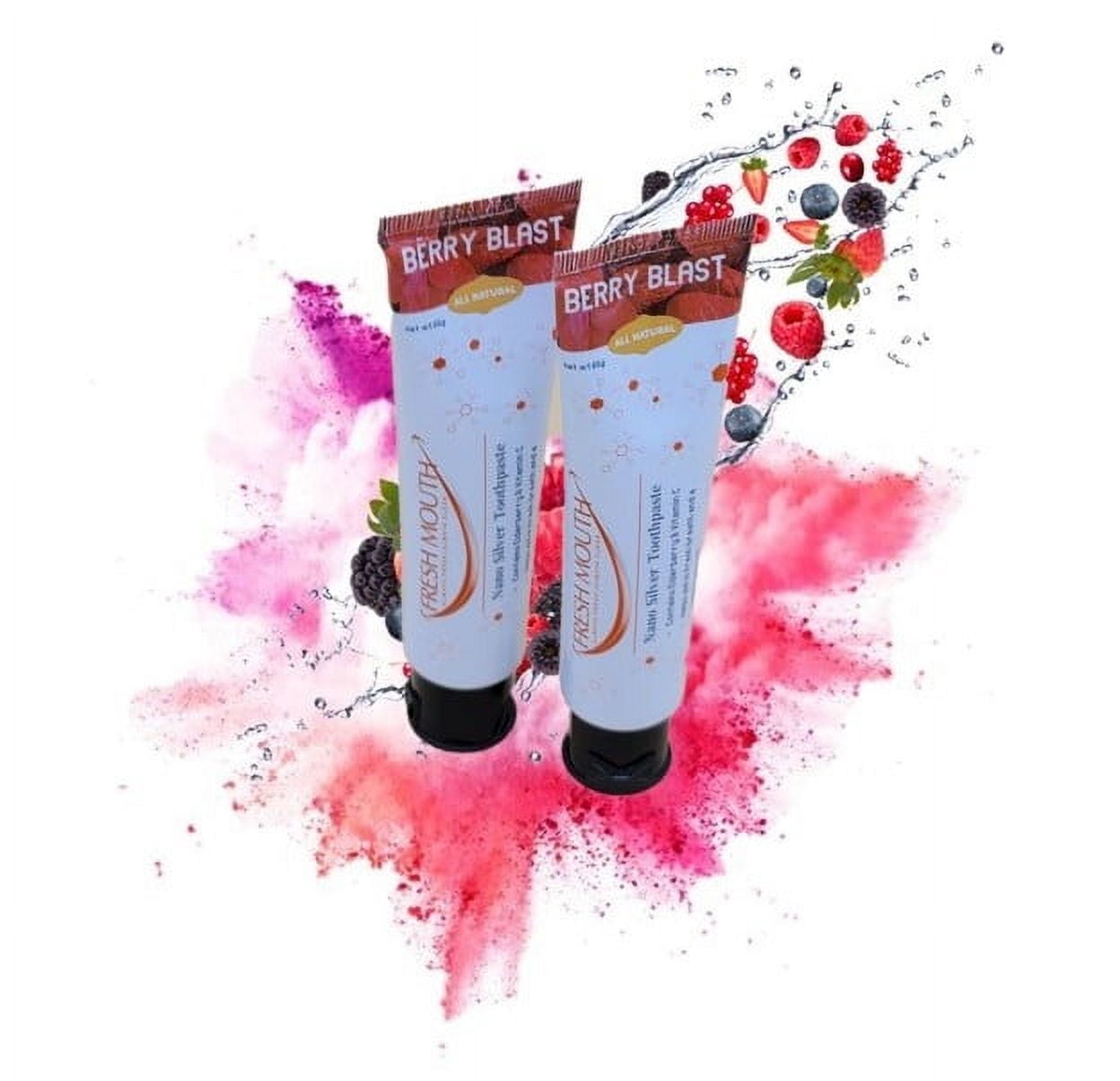 FRESH MOUTH Nano Silver Toothpaste Berry Blast 65g (PACK OF 2 ...
