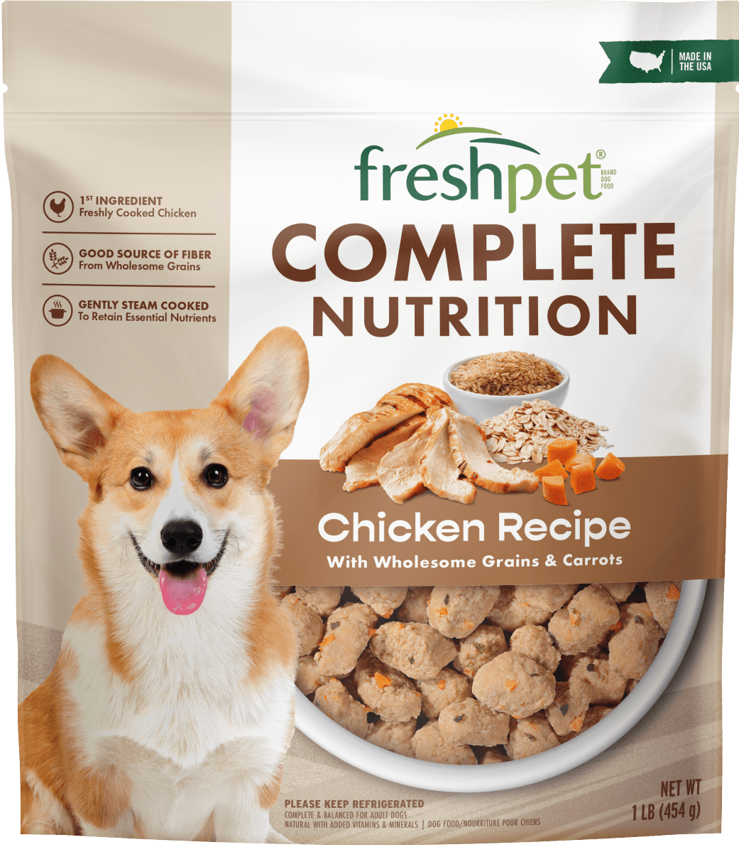 Freshpet Fresh Dog Food Complete Nutrition Chicken Recipe 1lb - Walmart.com