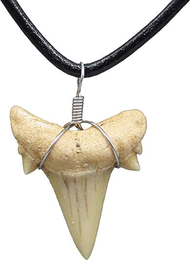 FROG SAC Natural Shark Tooth Necklace, Genuine Fossil Shark Teeth ...