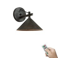 FSLiving 2-Light 100 Lumens Multi-Function Battery Run Remote Control ...