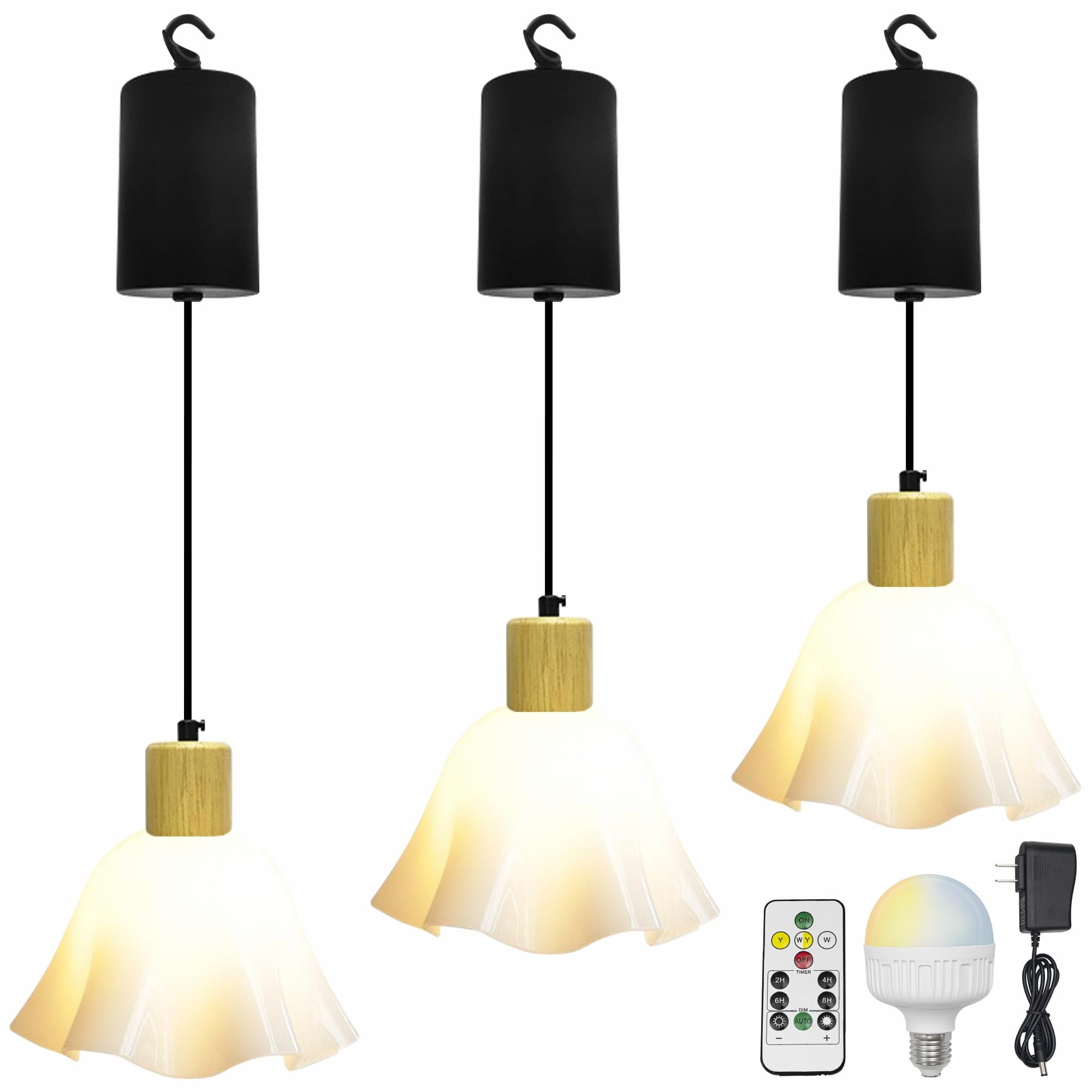 FSLiving Adjustable Height Rechargeable Battery Operated Pendant Light ...