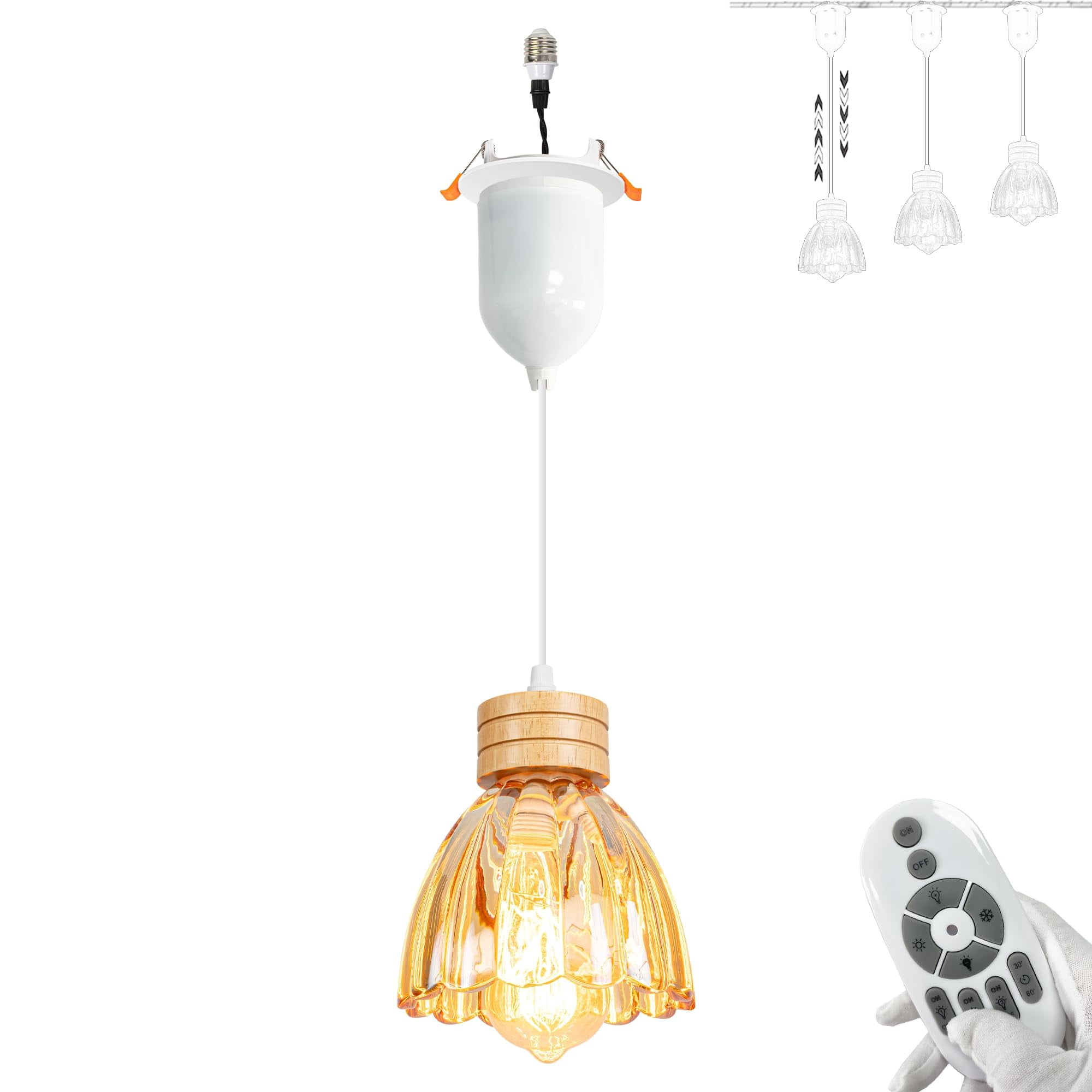 FSLiving Can Light Retrofit Recessed Mounted by Remote Adjustable ...