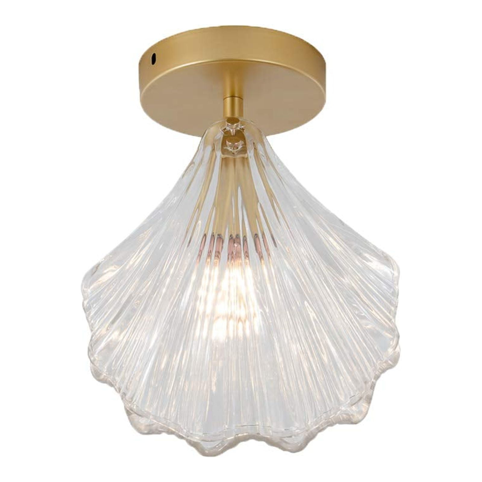 FSLiving Ceiling Light Fixtures Flush Mount E26 Transparent Glass Shell ...