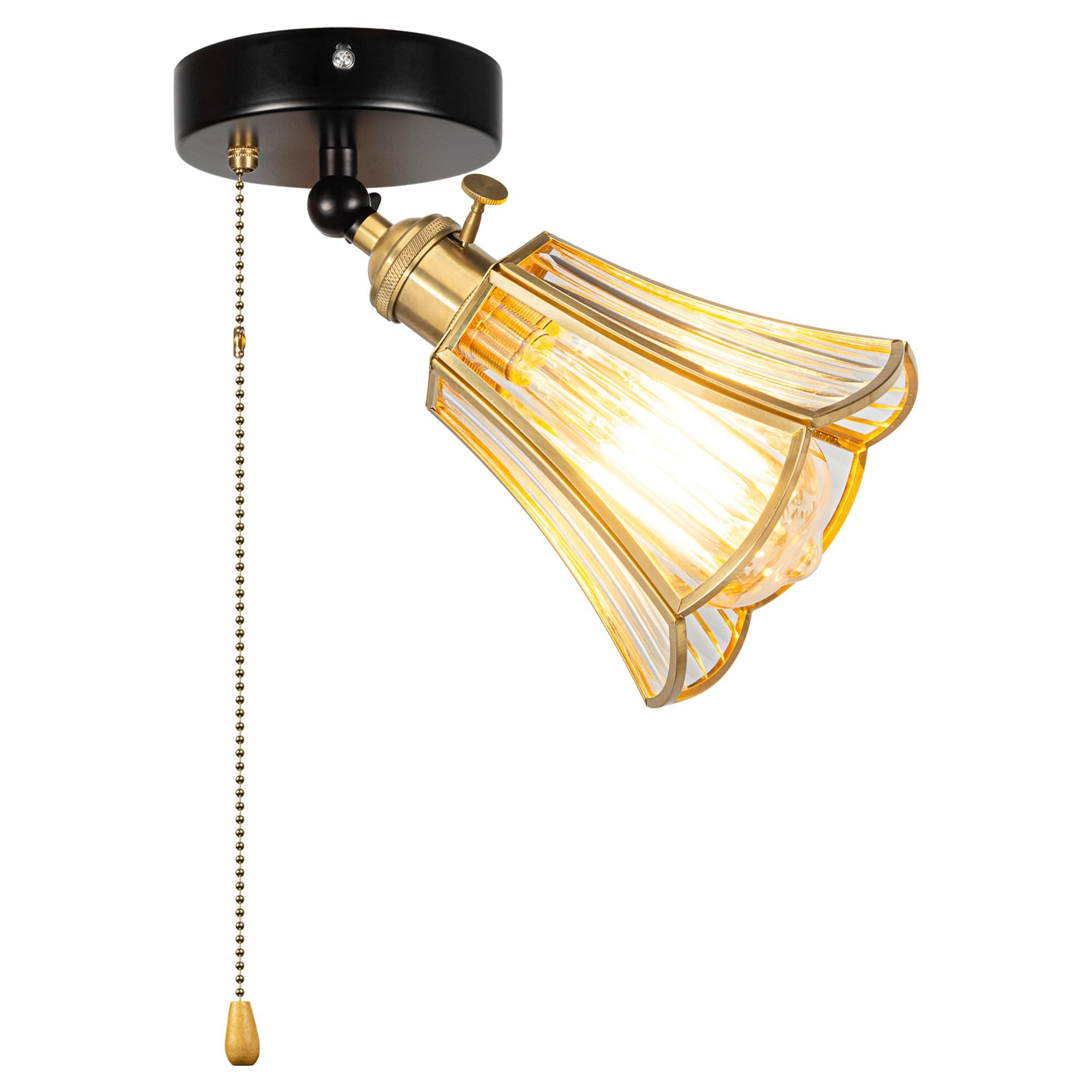 FSLiving Gimbaled Lamp, Zipper Switch 12V RV Decorative Ceiling Light ...