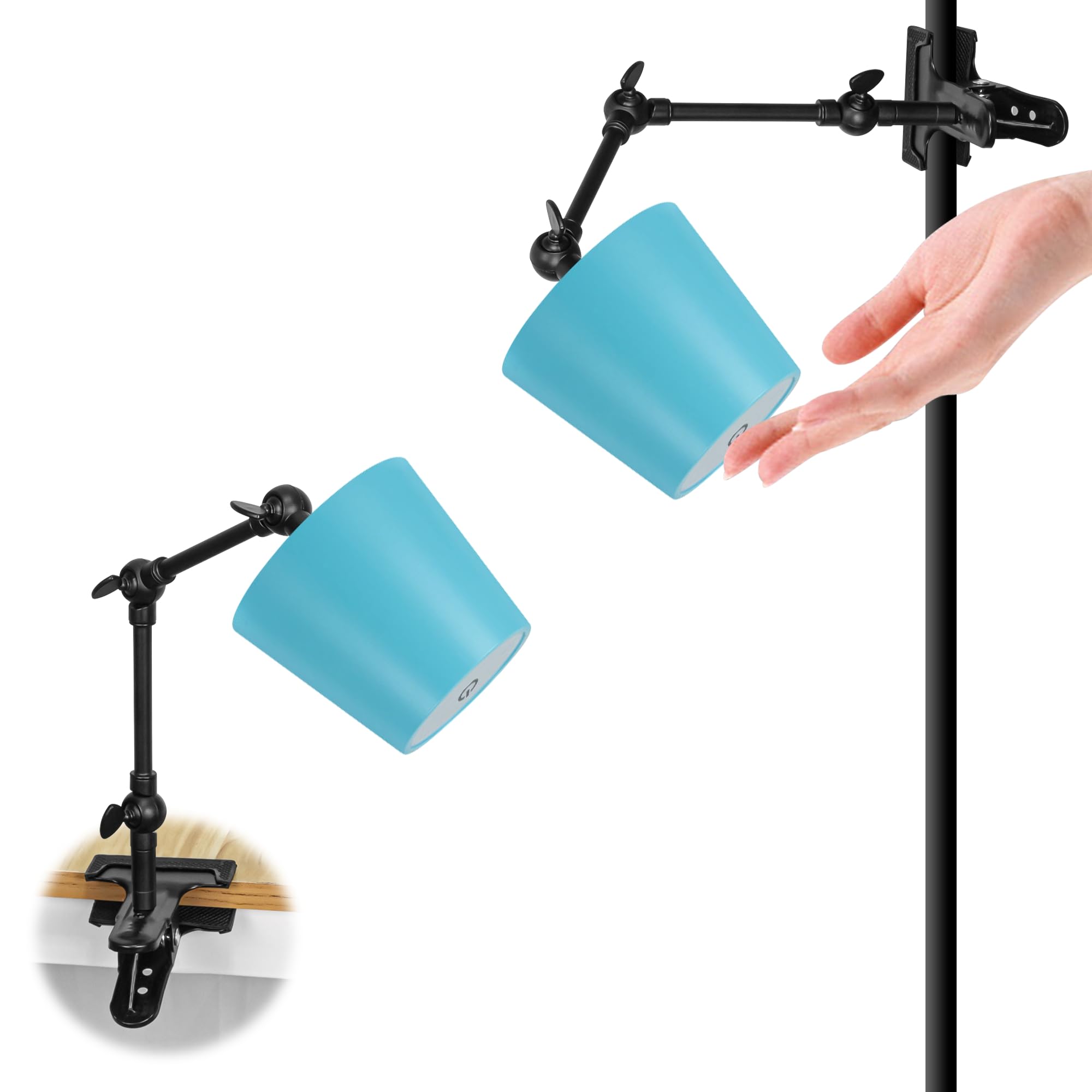 FSLiving LED Clip Light, Pole Mounted, Tpye-C Rechargeable, Eye ...