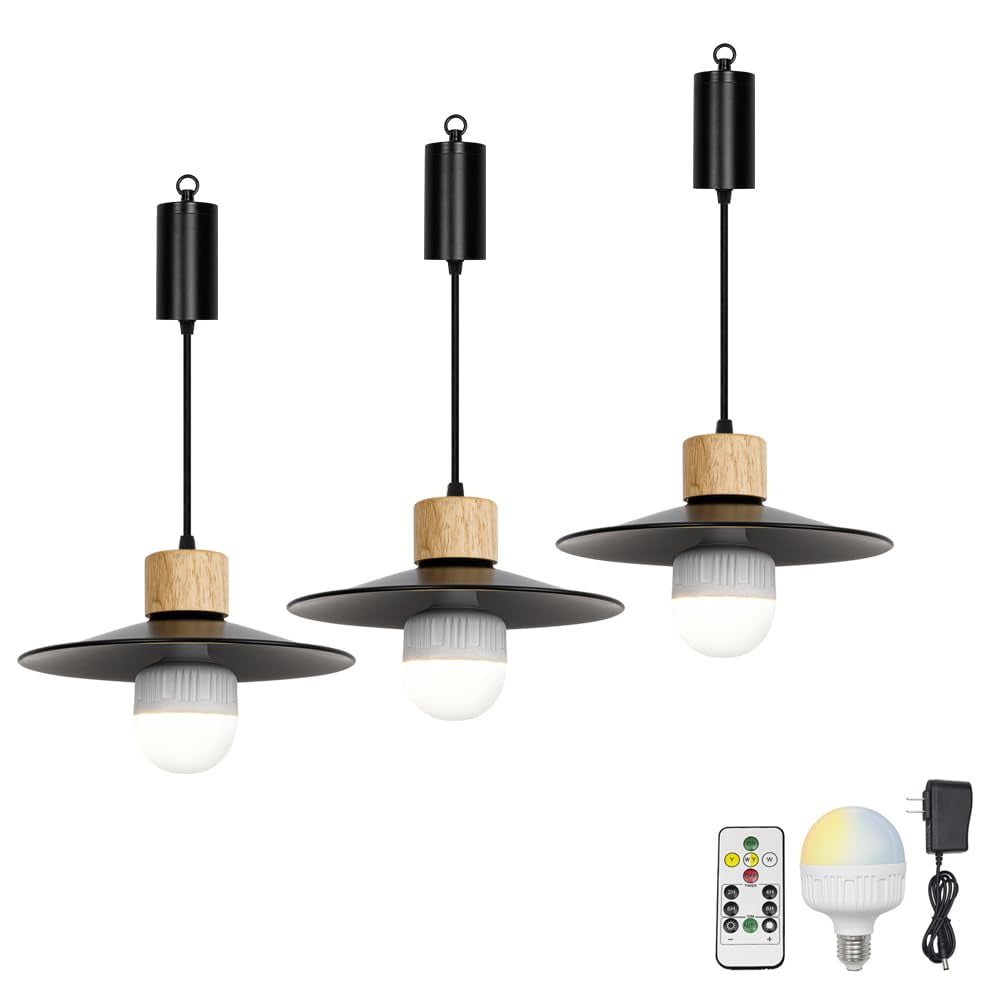 FSLiving Pendant Light with Rechargeable Battery Operated LED Bulb RGB ...