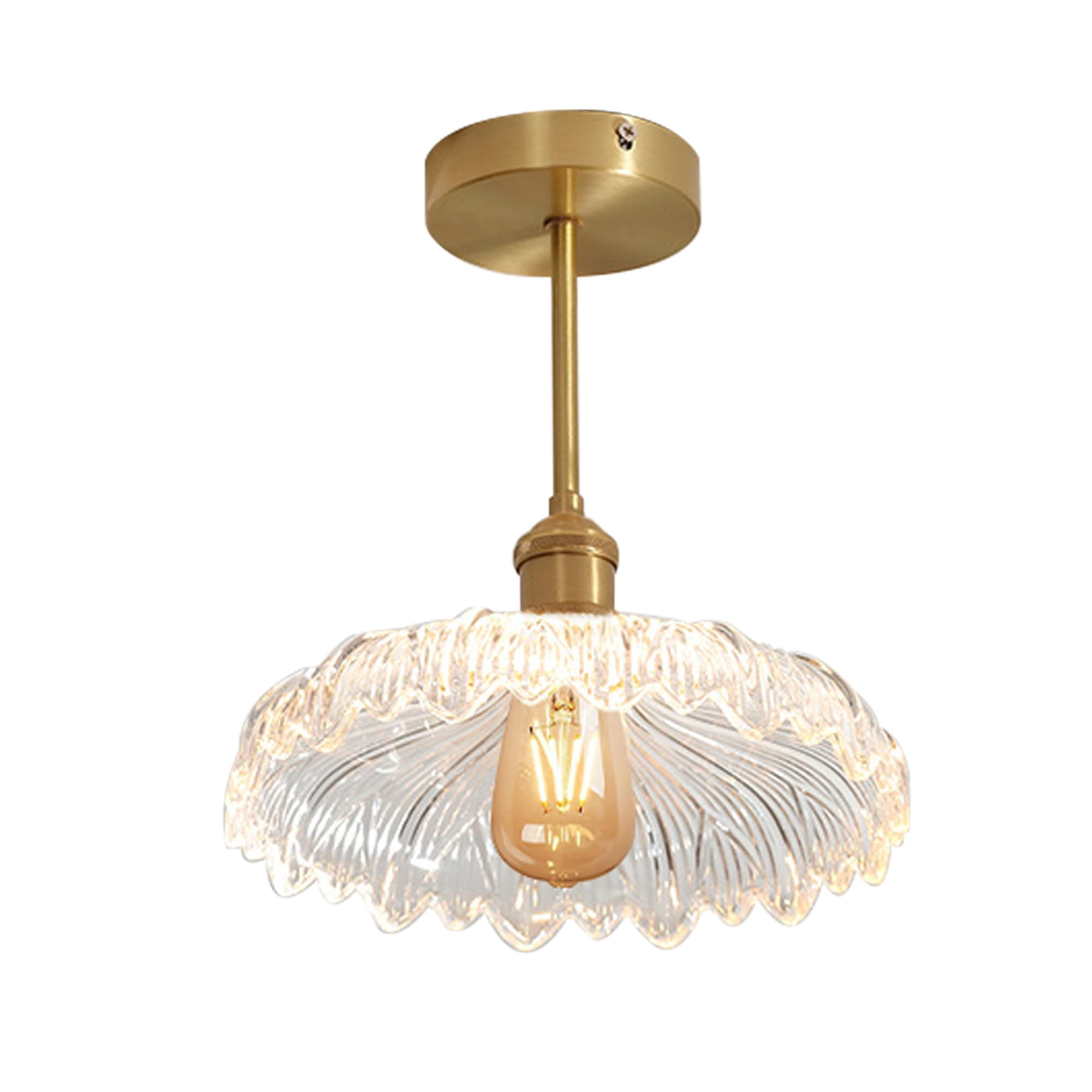 FSLiving RV Hardwired Clear Flower Shape Glass Wall Light, 12V Retro ...