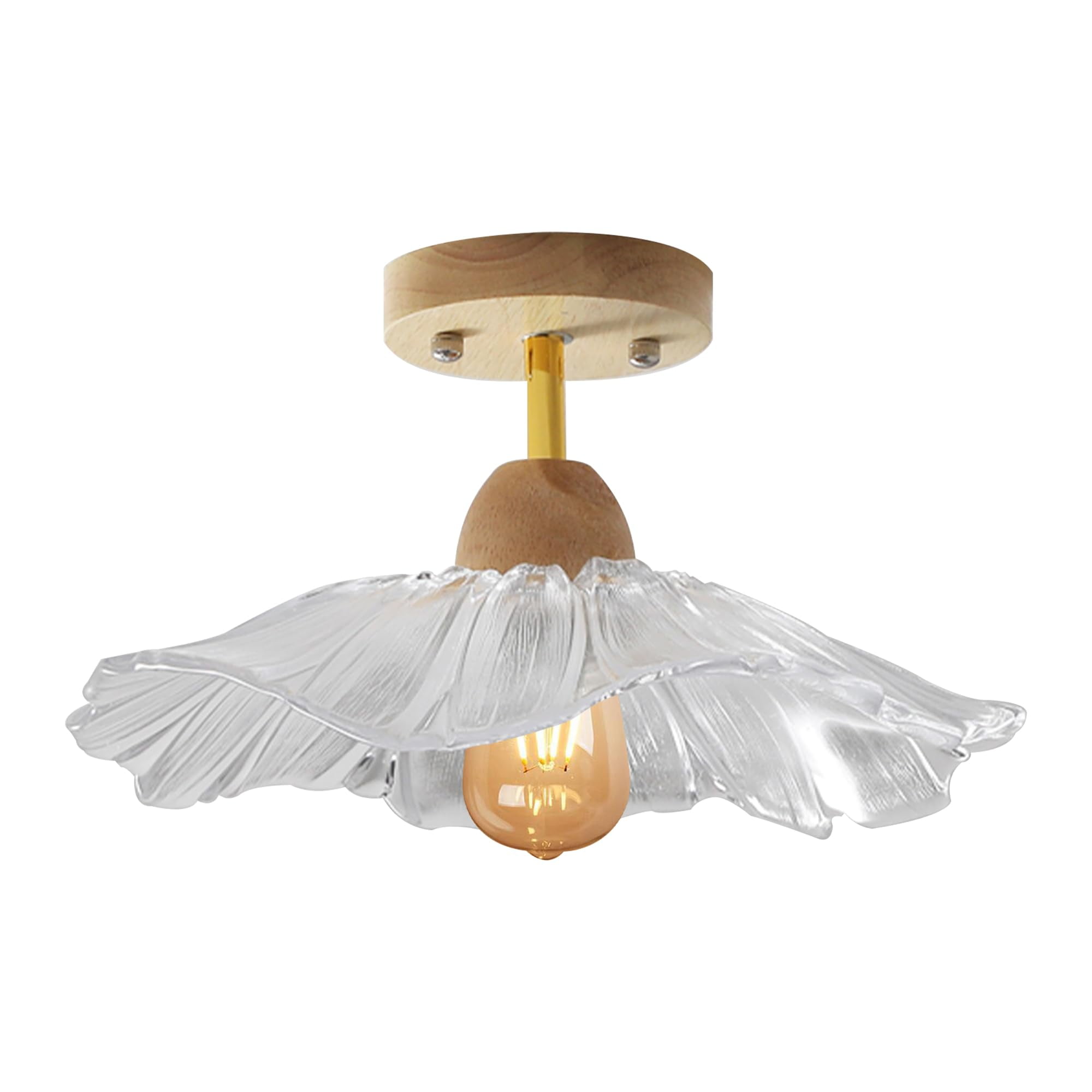 FSLiving RV Hardwired Clear Lotus Shape Glass Wall Light, 12V Wooden ...