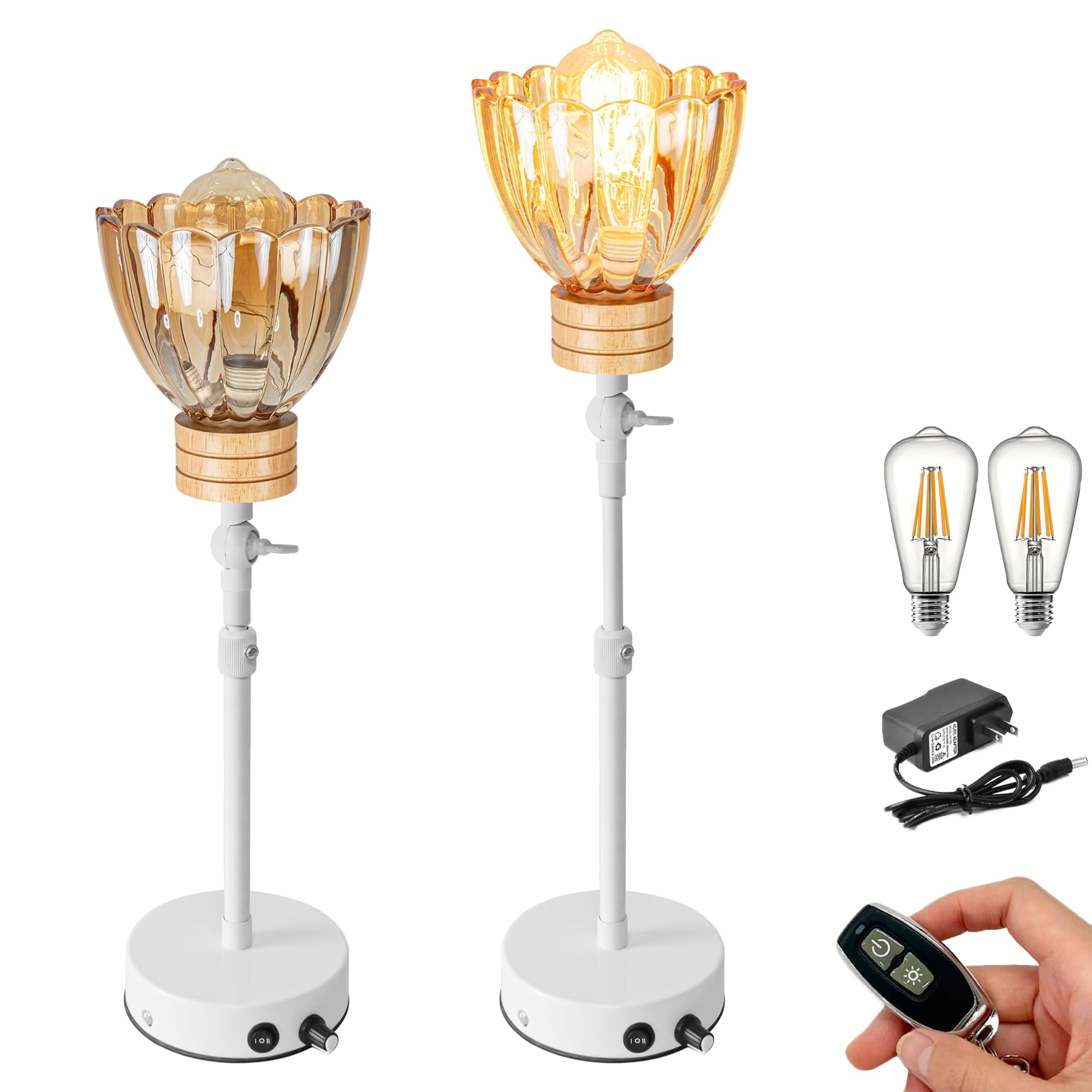 FSLiving Rechargeable Battery Operated Fireplace Lamps, Remote RV ...
