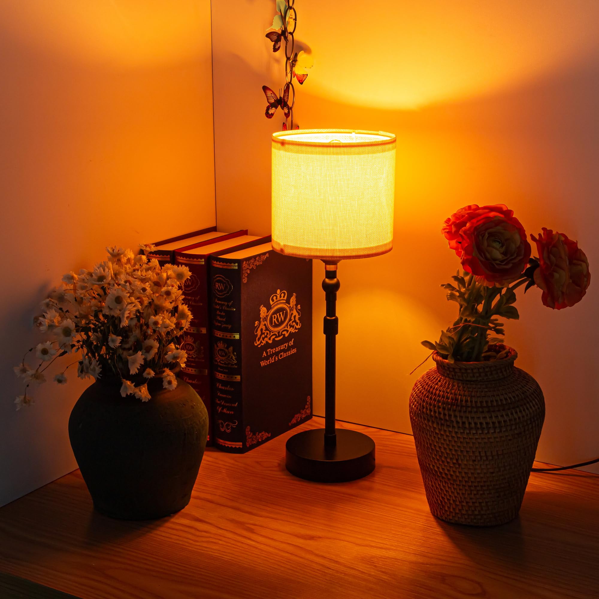 FSLiving Rechargeable Battery Operated LED Bedside Lamp by Remote RV ...