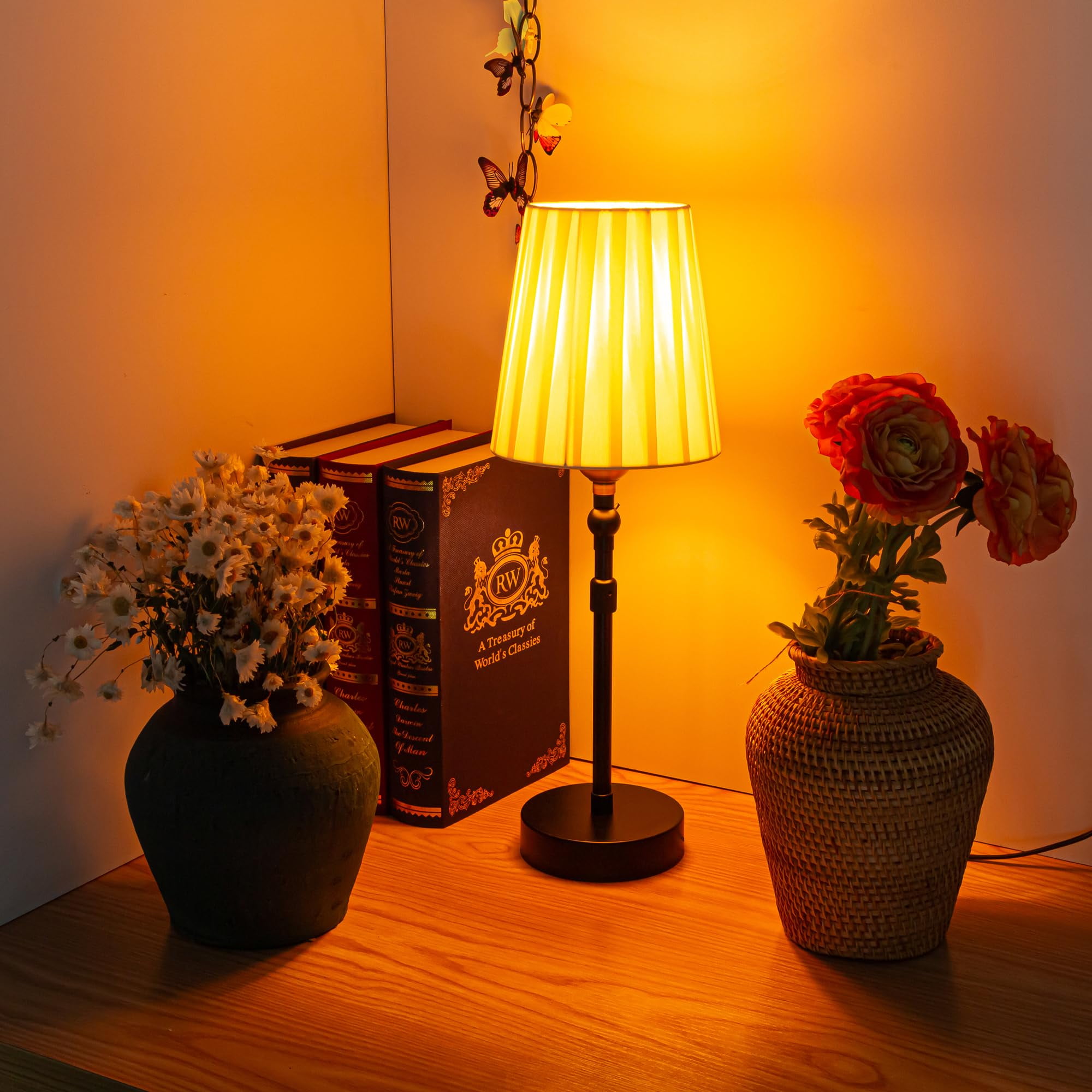 FSLiving Rechargeable Battery Operated LED Bedside Lamp by Remote RV ...
