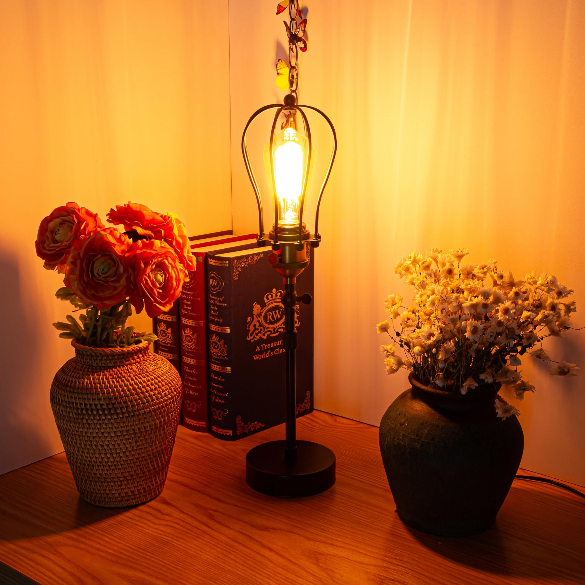 FSLiving Rechargeable Battery Operated LED Bedside Lamp by Remote RV ...