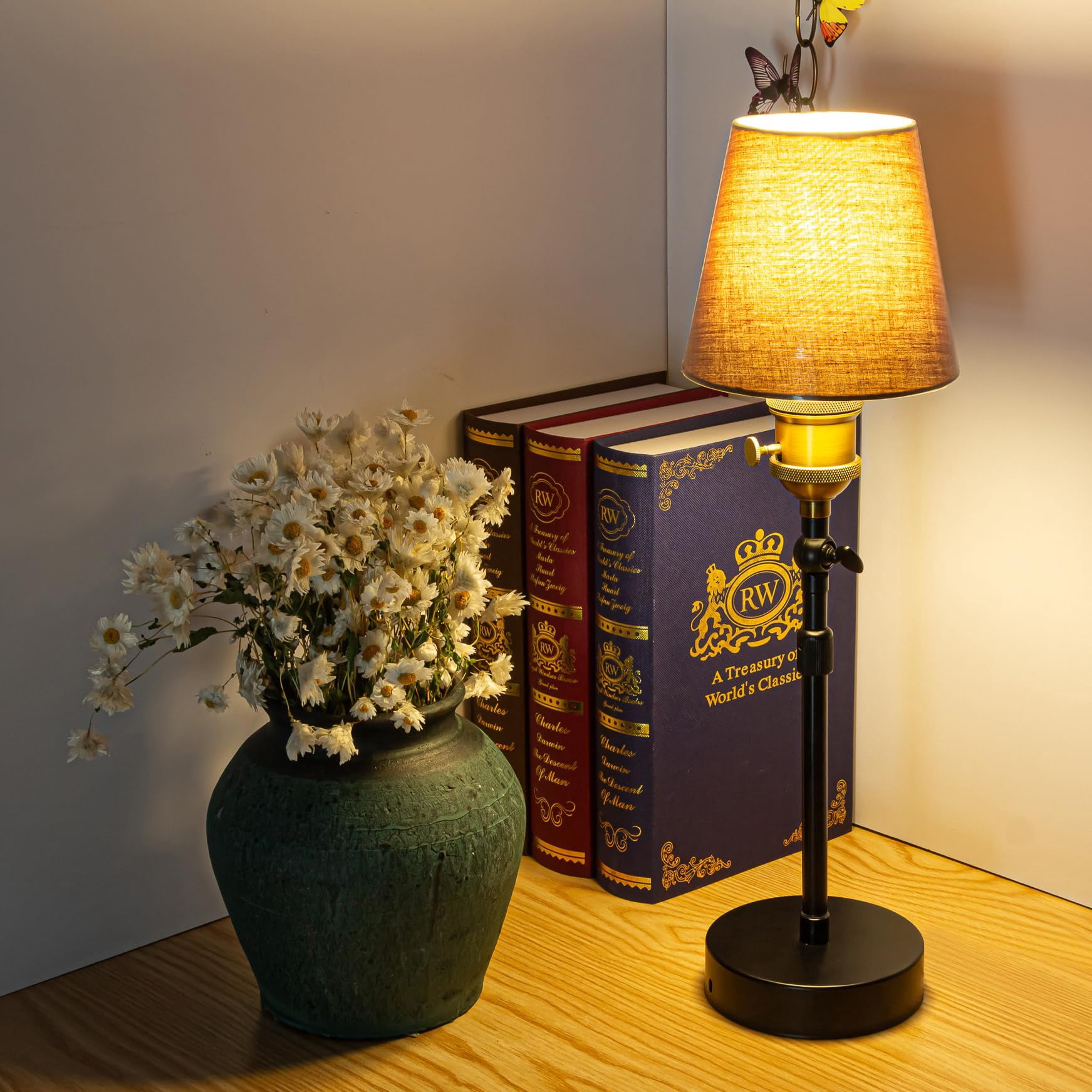 FSLiving Rechargeable Battery Operated LED Bedside Lamp by Remote RV ...