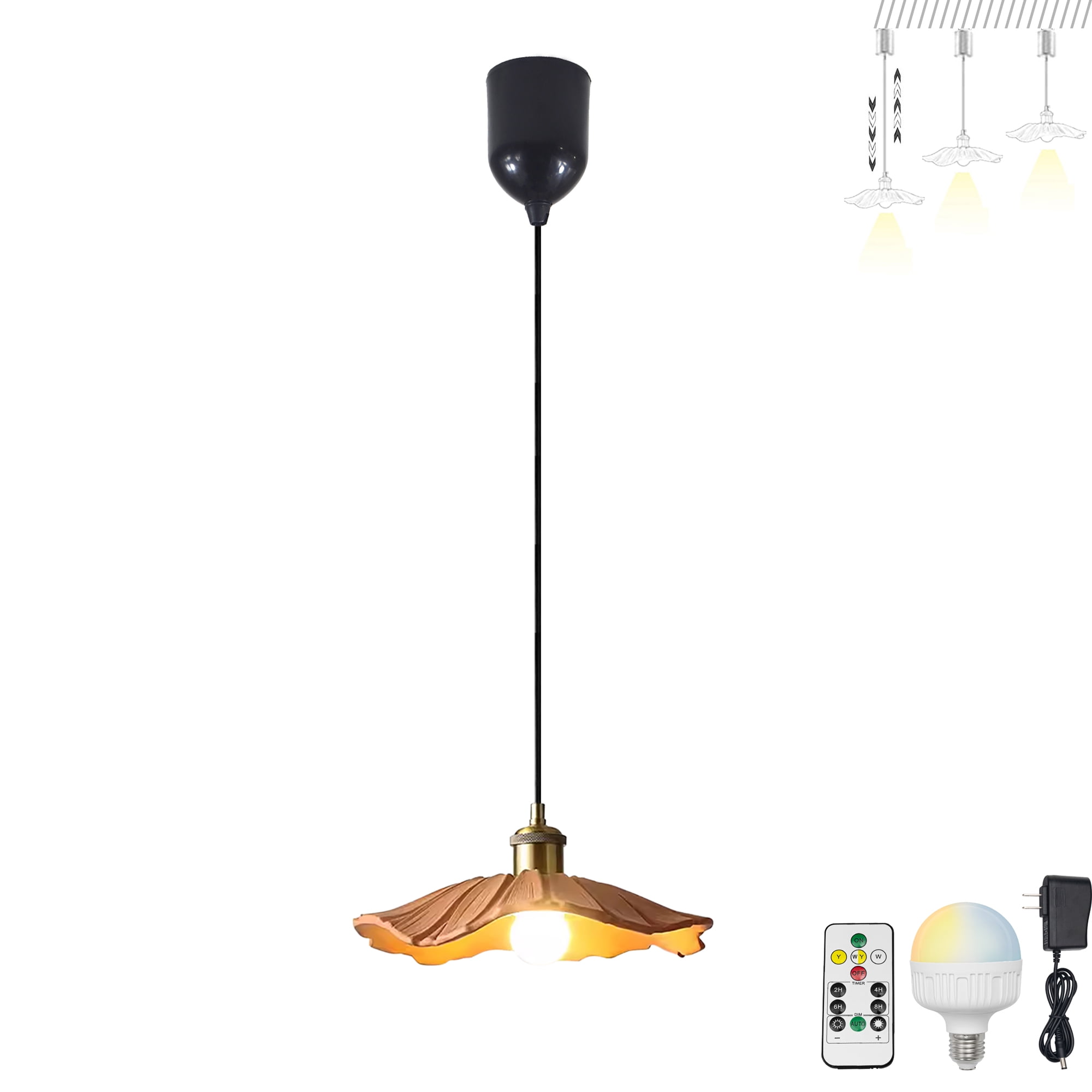 FSLiving Rechargeable Battery Operated Pendant Light with Remote,Modern ...