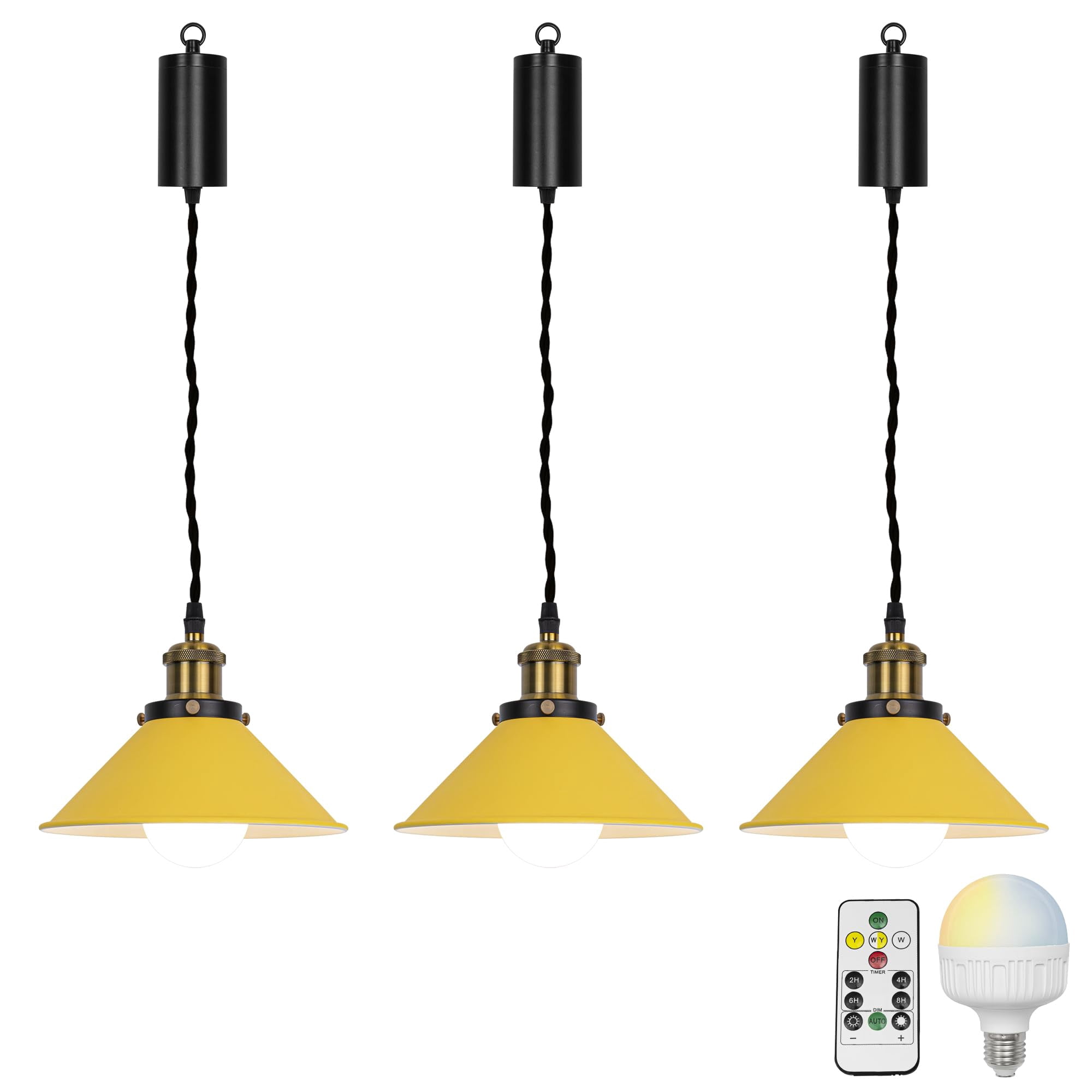 FSLiving Remote Control Dimmable Hanging Light with Rechargeable ...