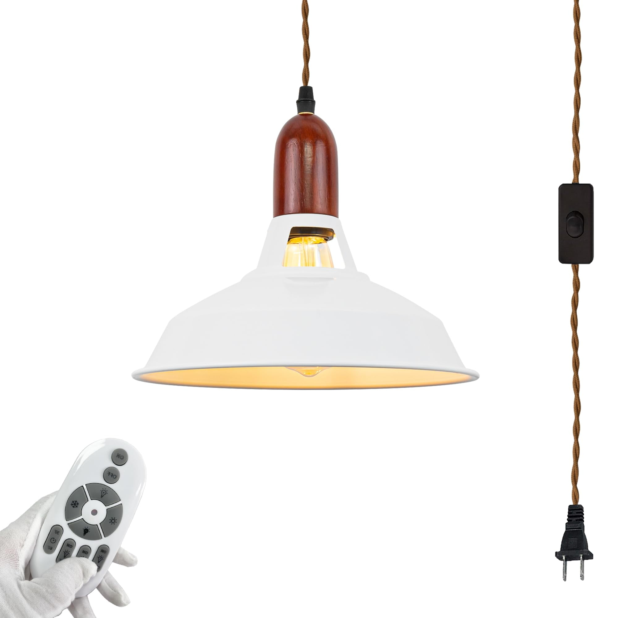 FSLiving Remote Swag Lamp Dimmable Portable Pendant Light with 15ft ...