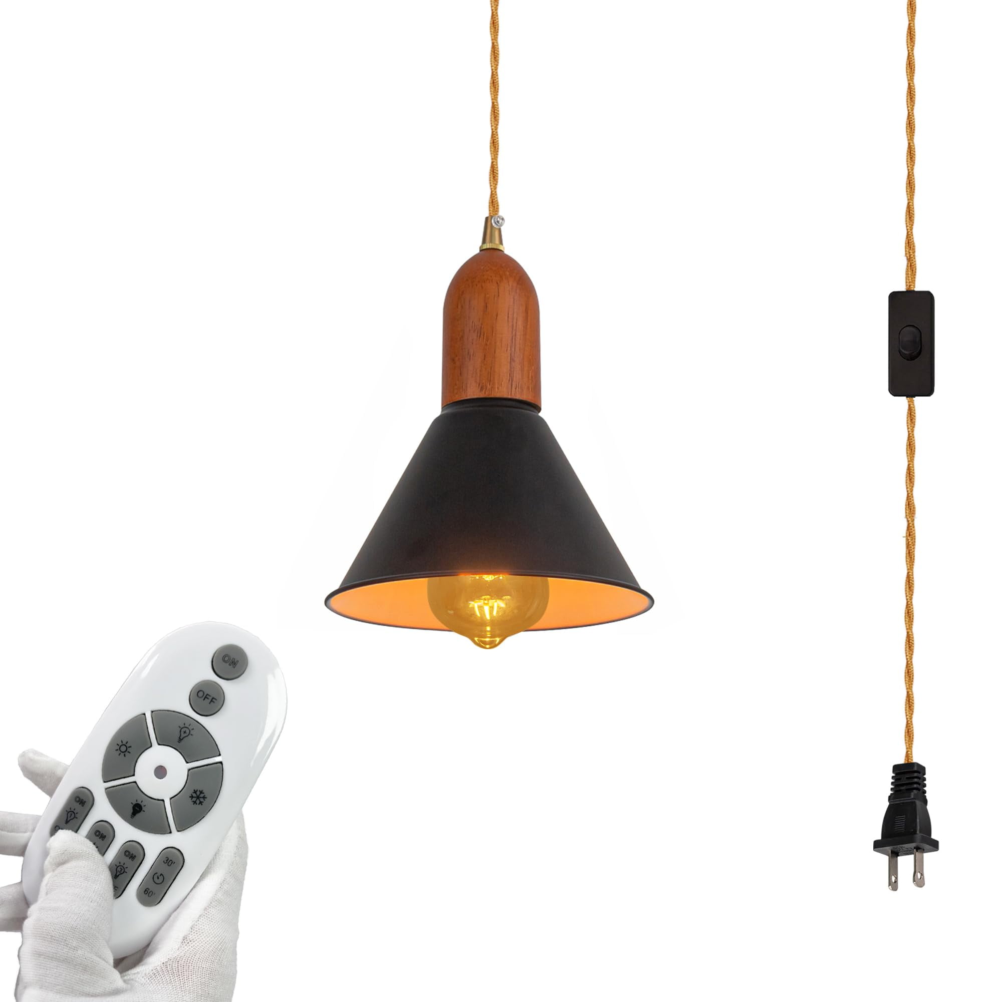 FSLiving Remote Swag Lamp Portable Pendant Light with 15ft Plug-in UL ...