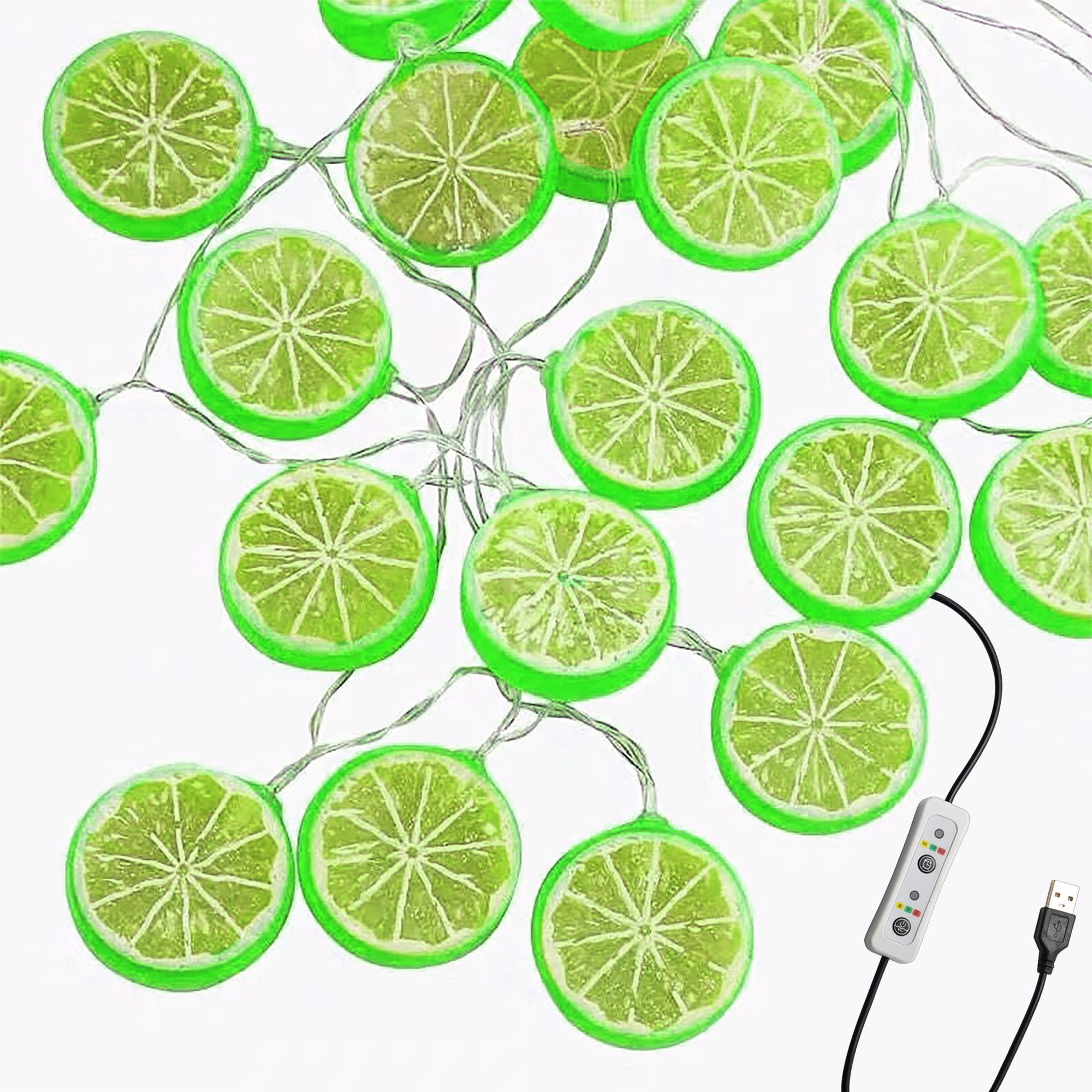 FSLiving Timing String Lights,USB Powered Curtain Lights For Christmas ...