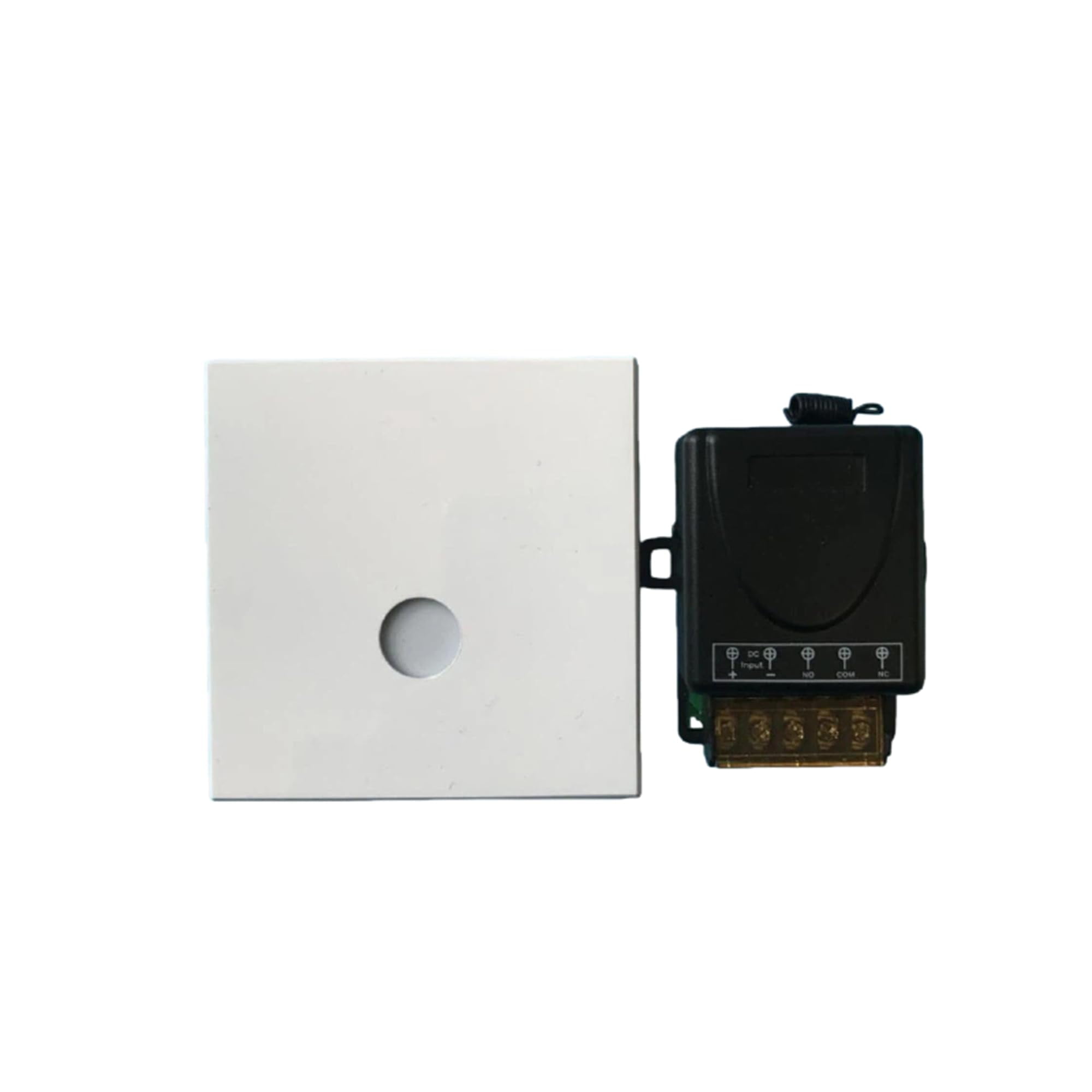 FSLiving Wireless Microwave Radar Doppler Sensor Switch, Human Presence ...