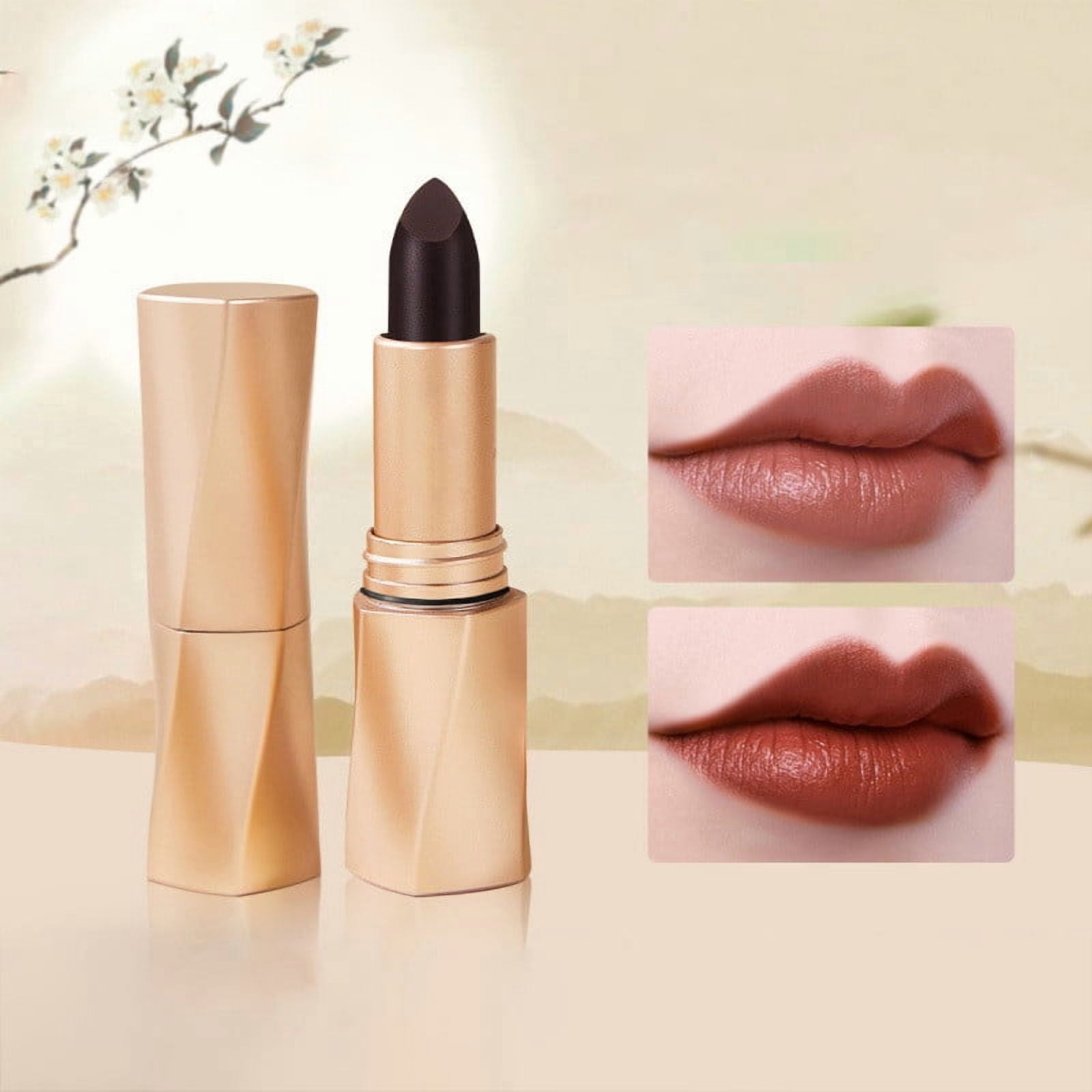 FSTDelivery Matte Lipstick for Women Lip Makeup, Long-Lasting Non ...