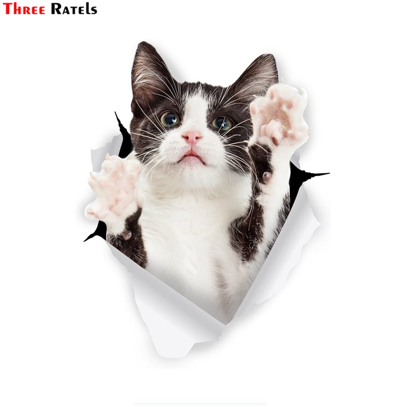 FTC-1040 Three Ratels 3D Cat Stickers Breakout Siamese for Wall Fridge ...