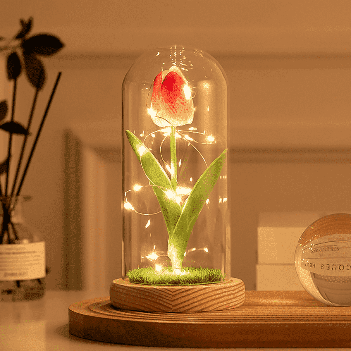 FTCBJJA Preserved Artificial Tulip in Glass Dome with LED Lights ...