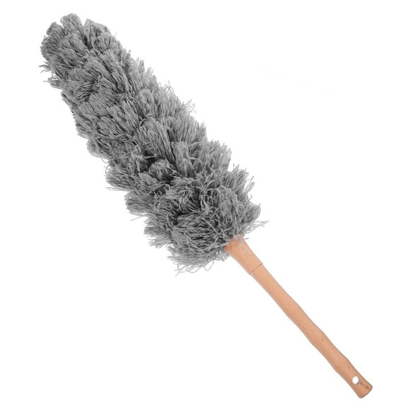 Webster Brush