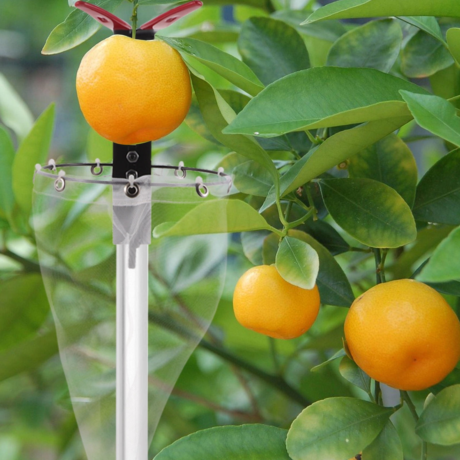 FUEENIRVA Fruit Catcher for Trees Easy Replacement Net Head ...